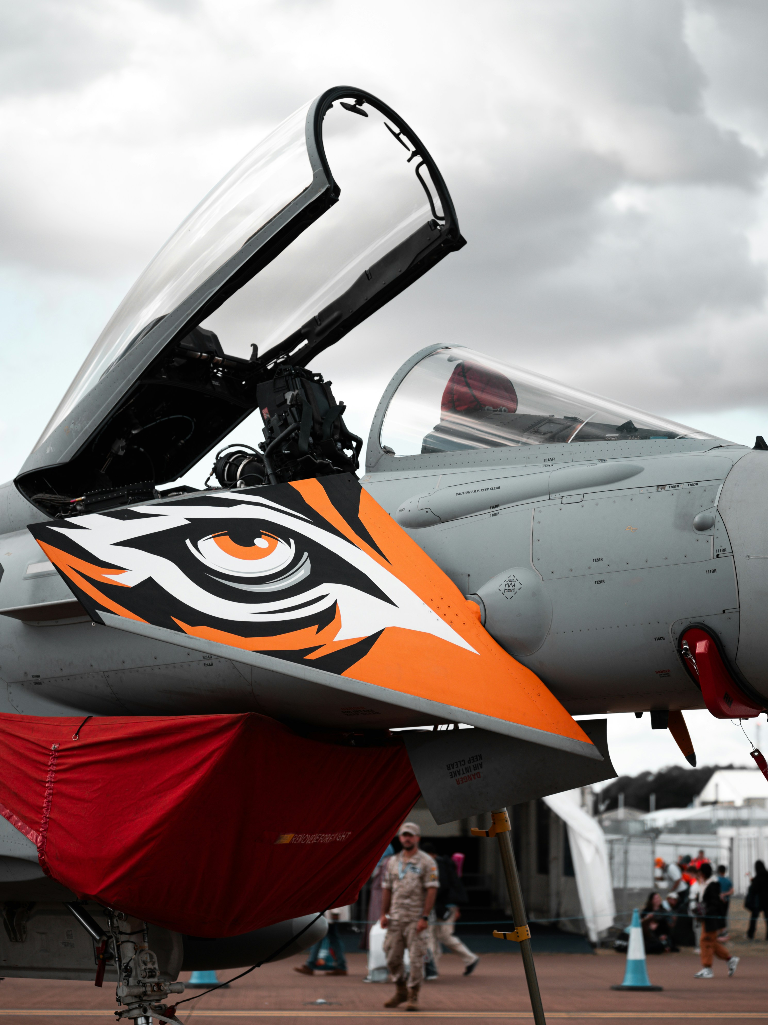 Aviation Artistry: The Tiger's Gaze