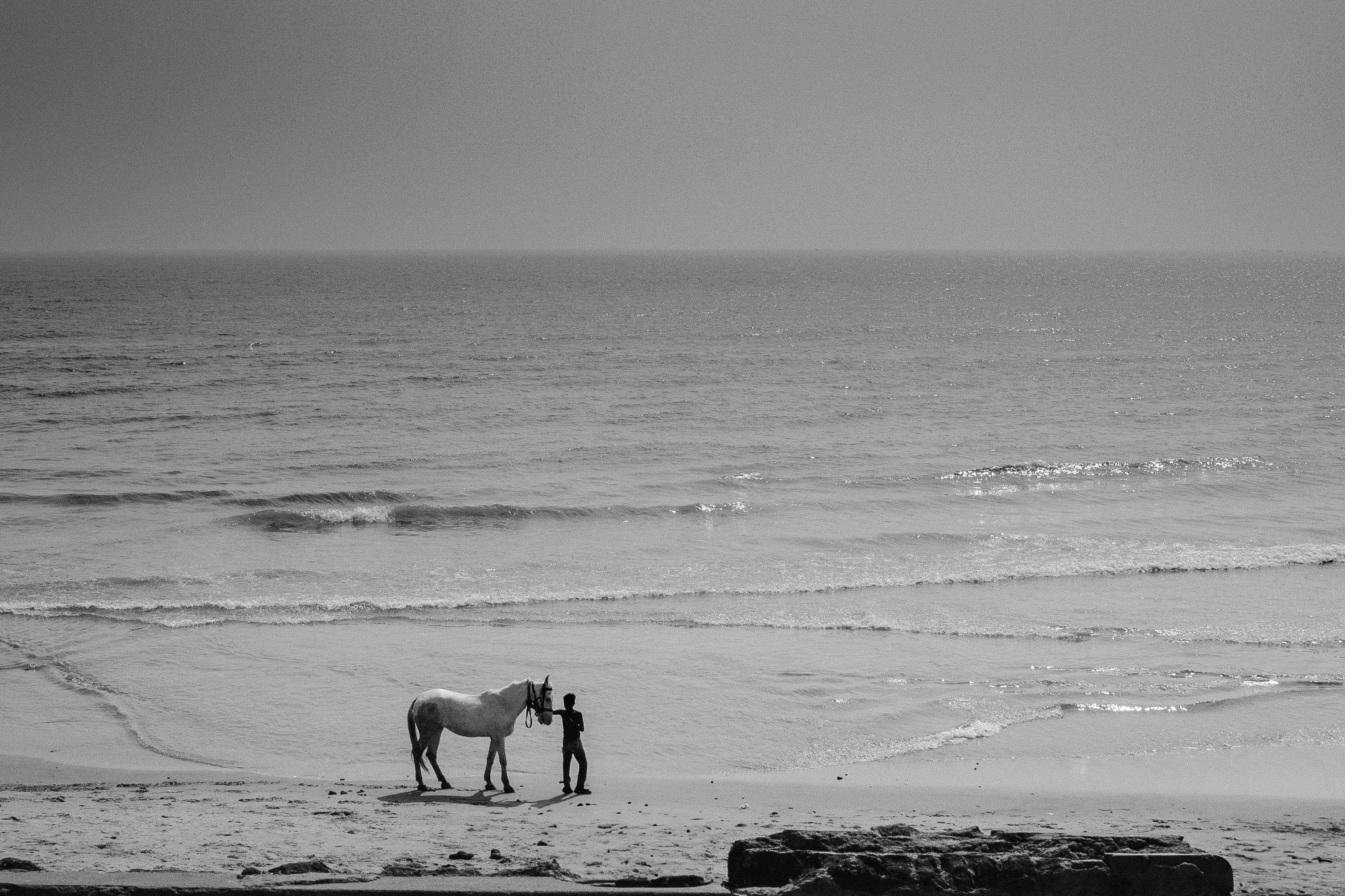 Harmony at the Water's Edge