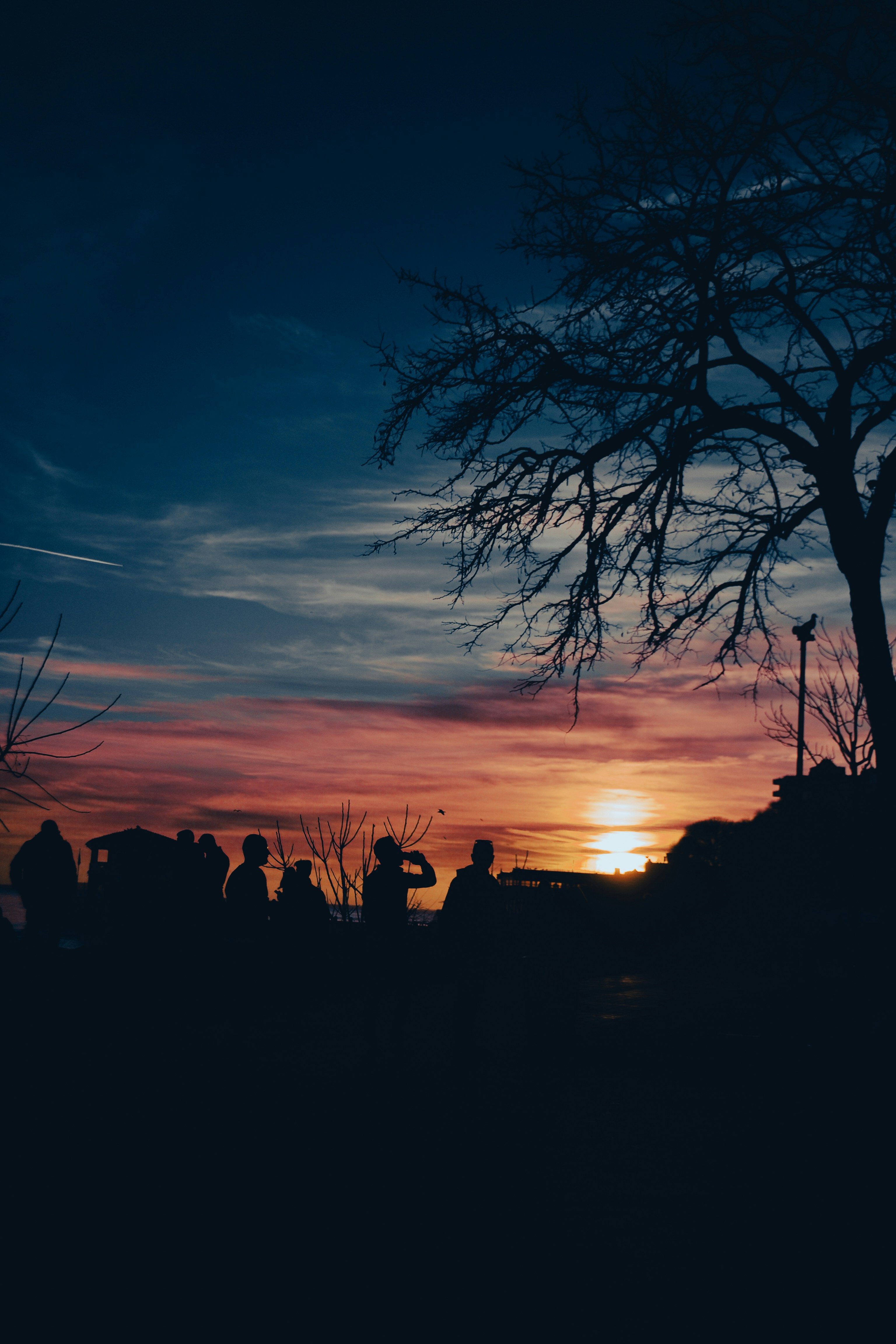 Silhouettes of people gather along the waterfront as the sun sets behind a leafless tree. The dramatic colors of the sky — blending deep blues, purples, and fiery oranges — create a captivating and peaceful moment of collective stillness and awe. | People enjoy the sunset on a beautiful evening.