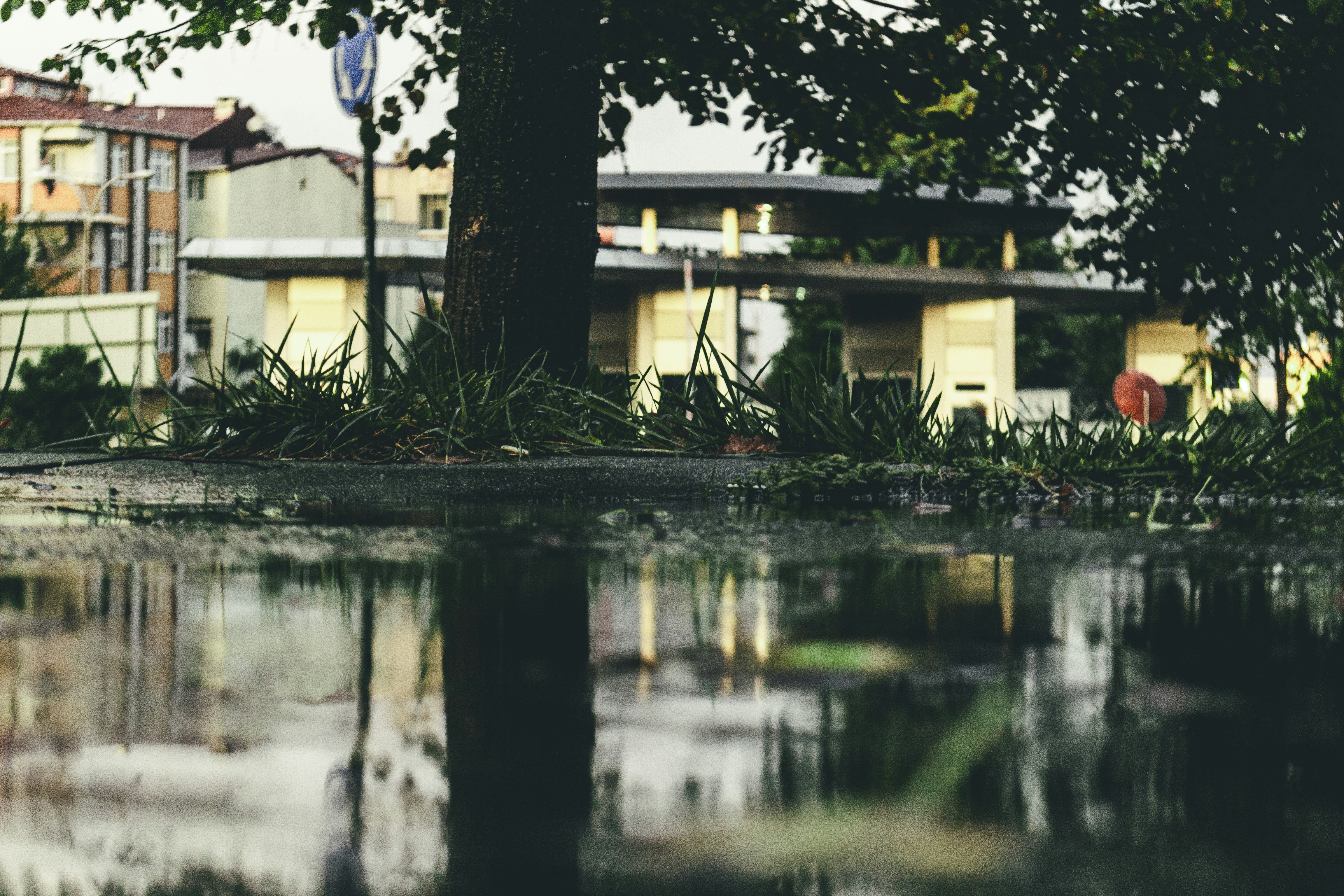 A poetic low-angle shot of an urban scene after rainfall. A shallow puddle mirrors nearby trees, buildings, and a traffic sign, creating a calm yet moody reflection. The soft lighting and muted tones give the photo a nostalgic, contemplative feel. | Reflections of buildings in a puddle after rain.