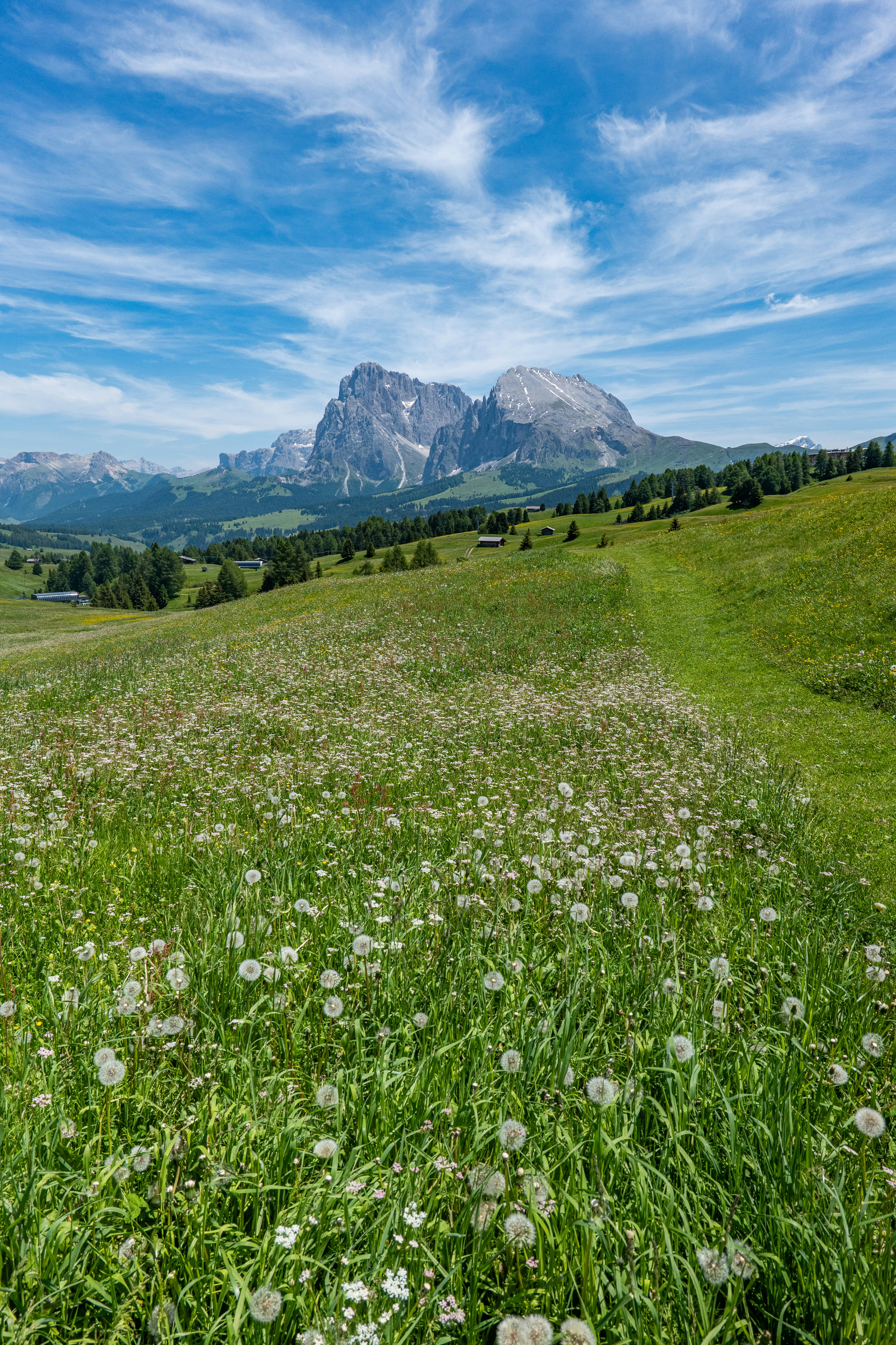 Sample photo from Panasonic Lumix S5D