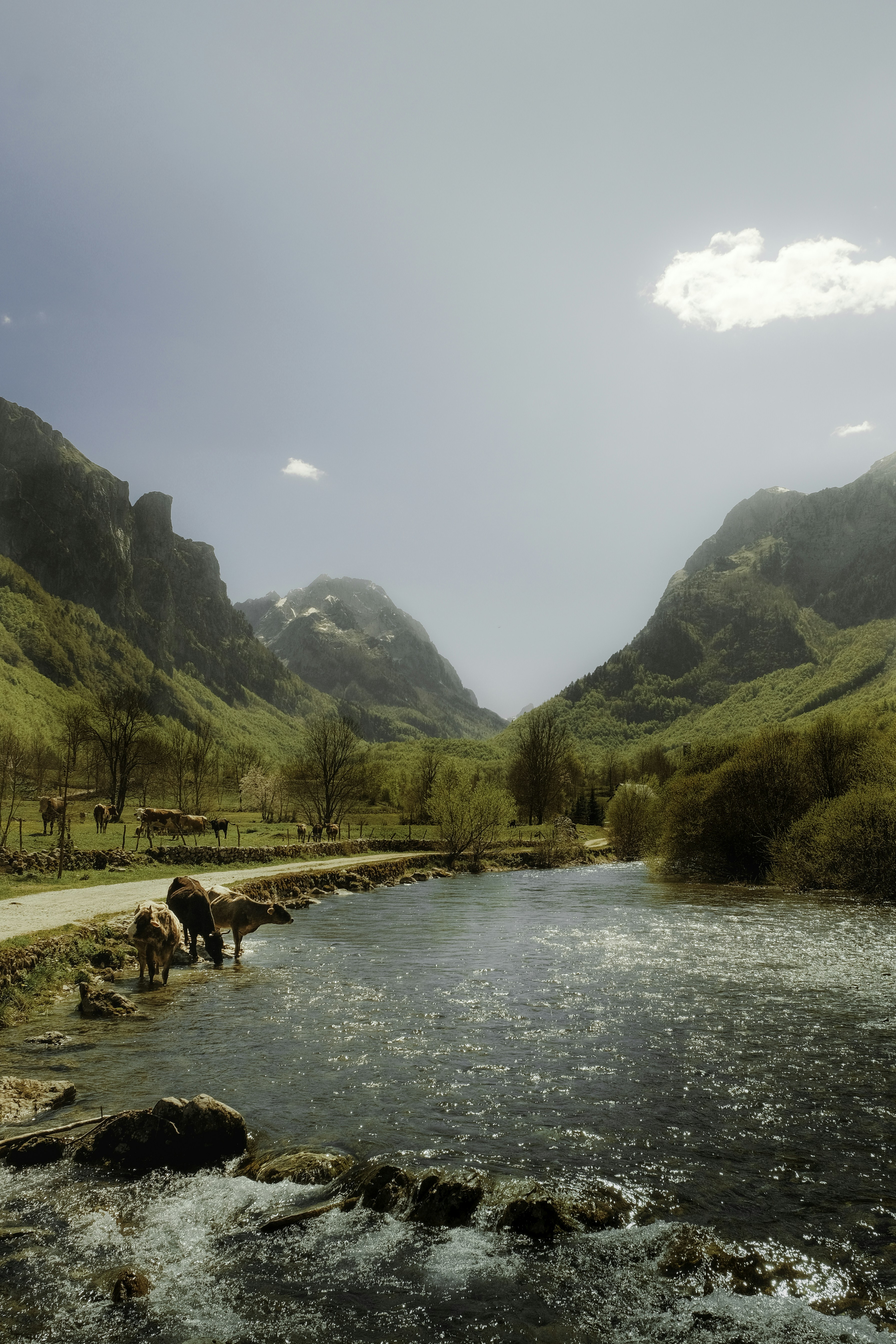 Serenity by the Stream: A Pastoral Retreat