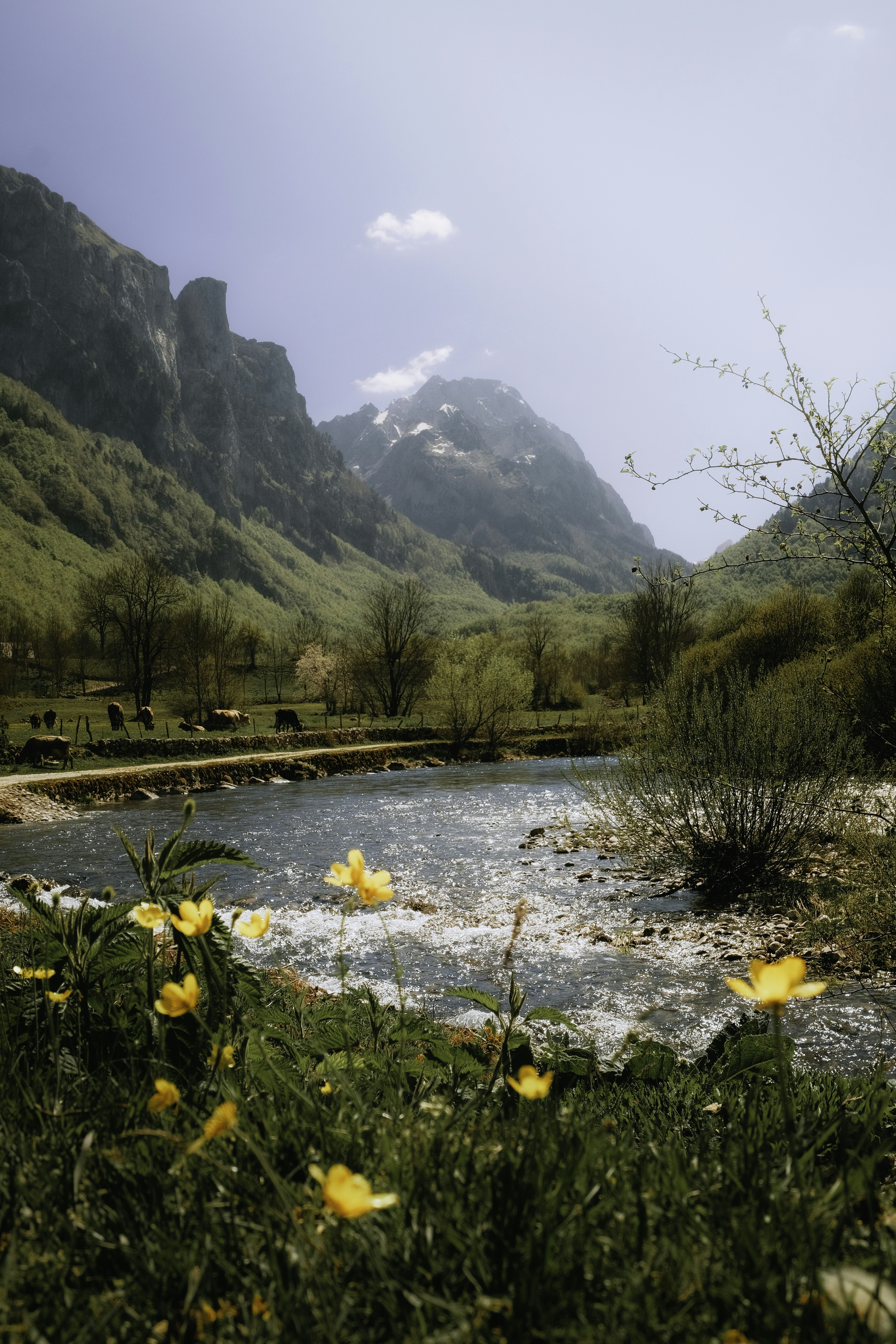 Serenity Amidst Majestic Peaks