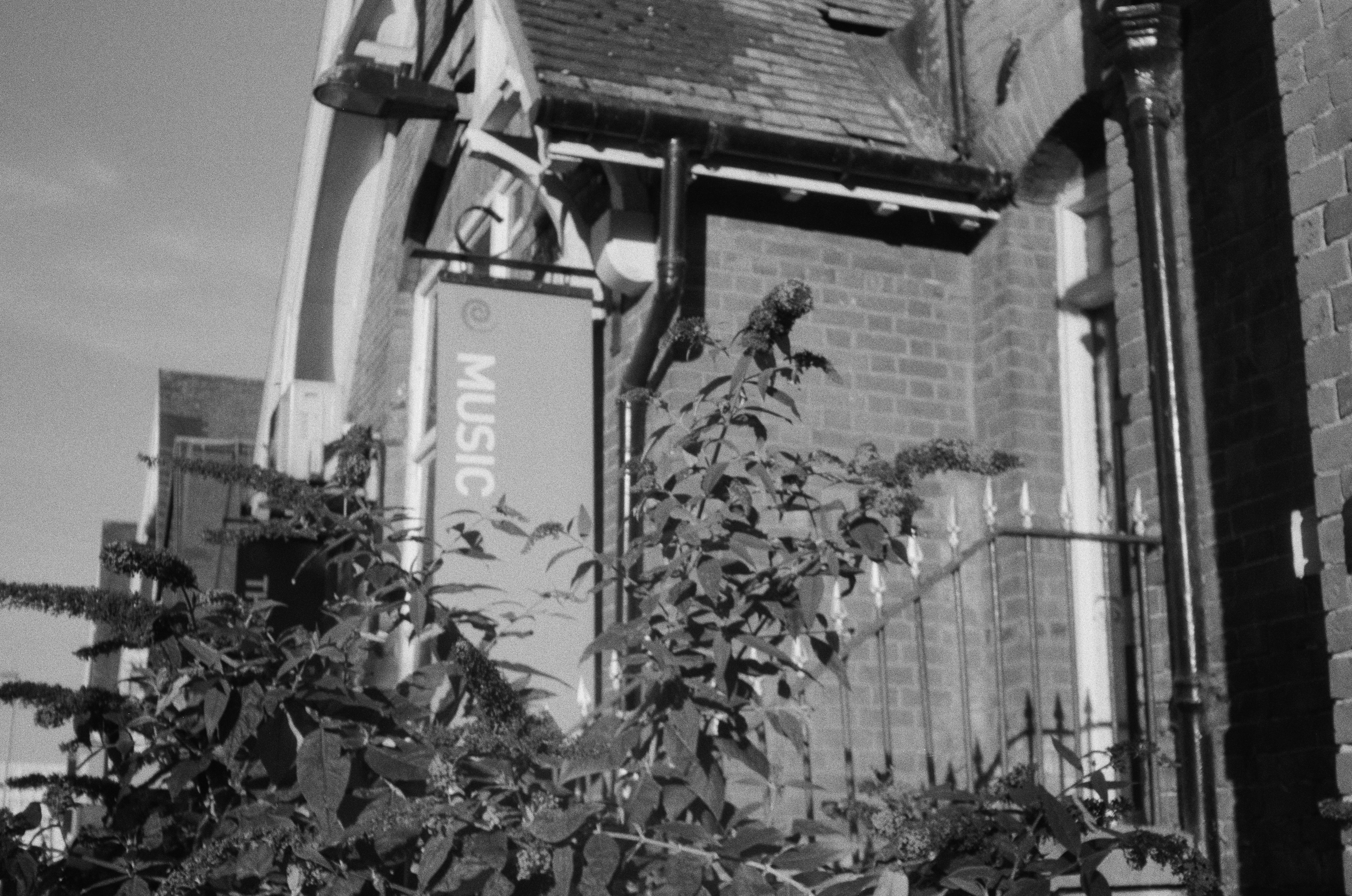 A vibrant music sign partially obscured by lush foliage, set against a charming brick building. The scene evokes a sense of creativity and nature's embrace.