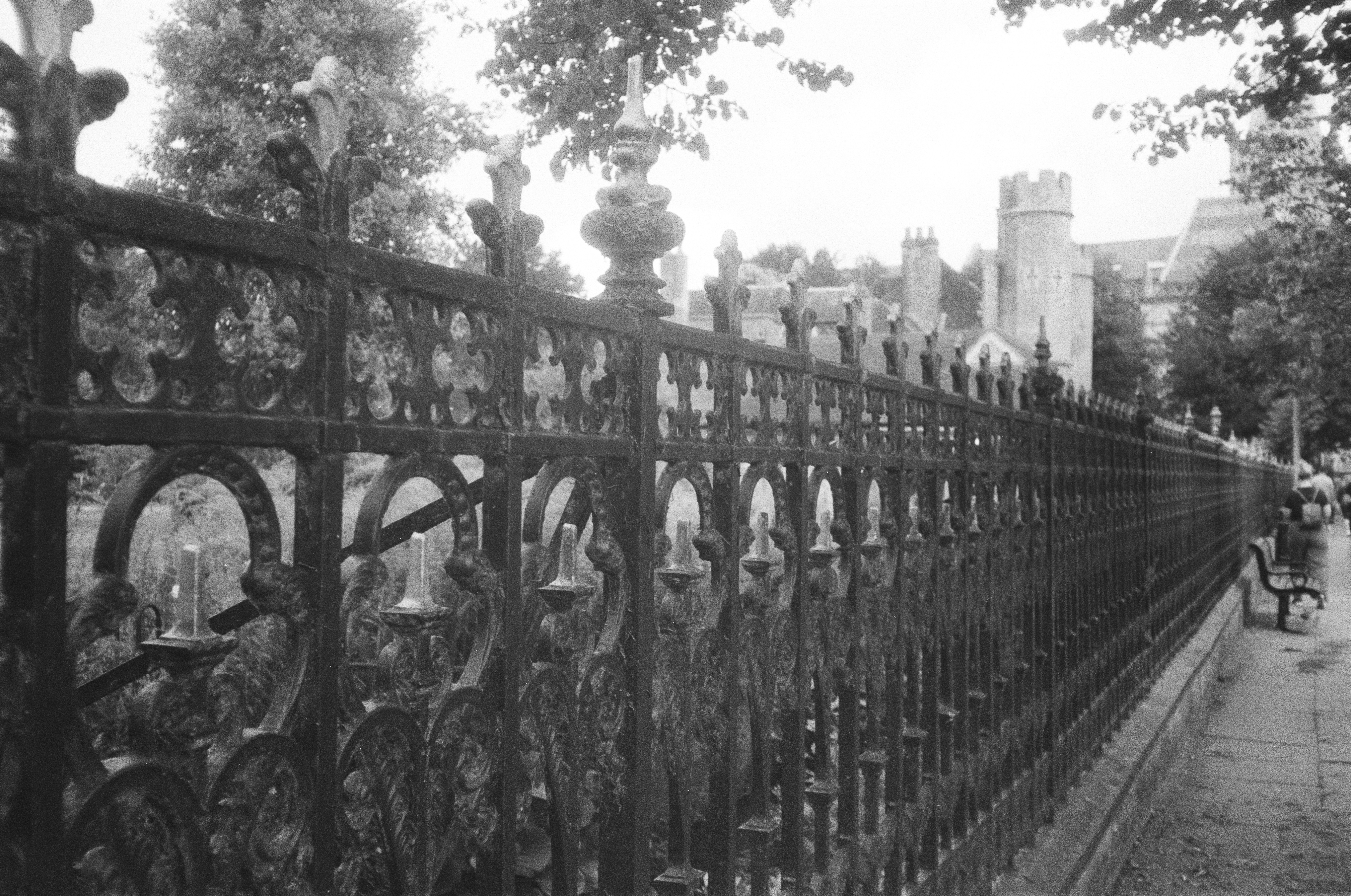 film photography, analog film shot, analogue photos, shot on film, film photo, 35mm, Ilford film, black and white photography, film is not dead | A decorative iron fence runs along a path.