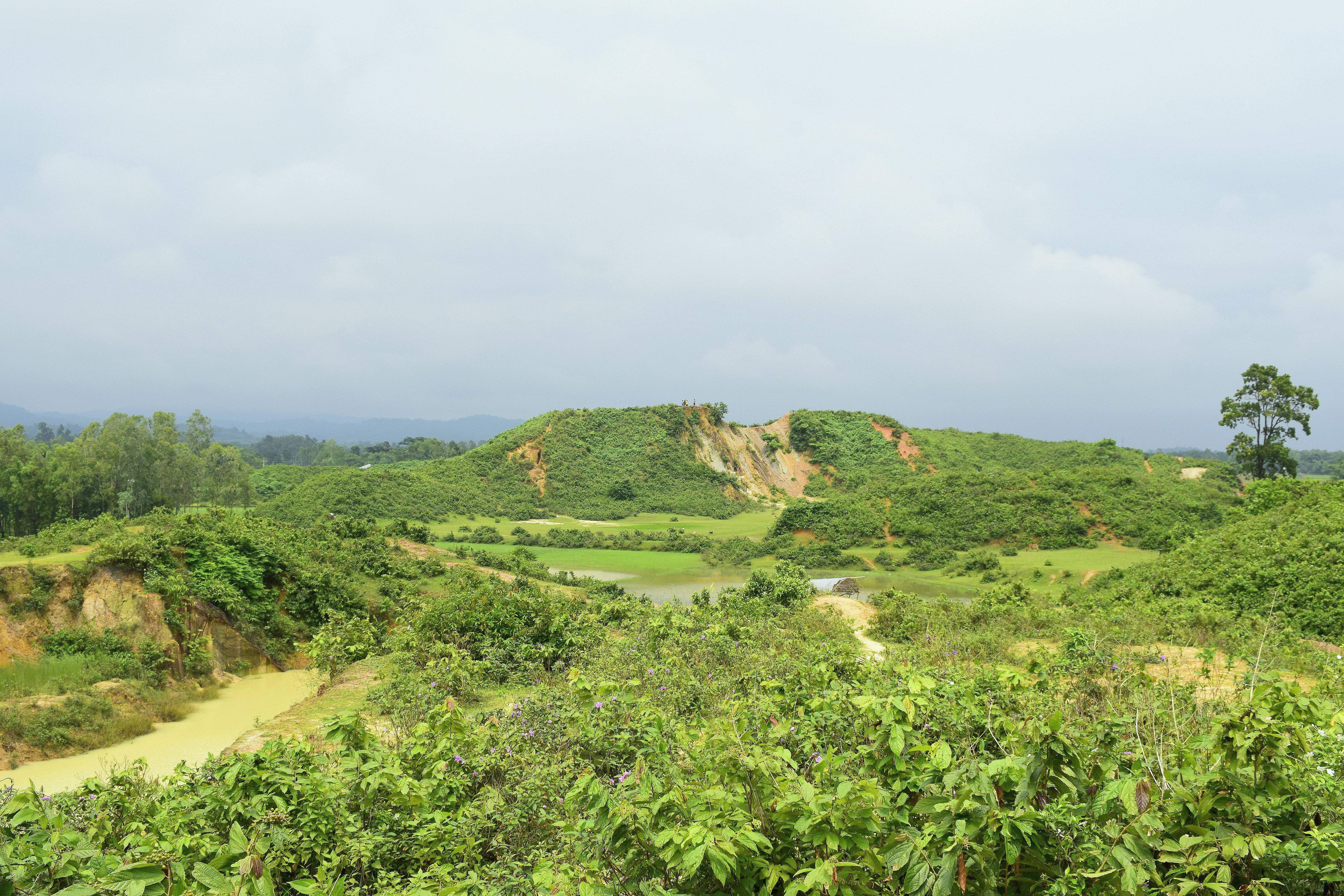 Emerald Hills: Nature's Untamed Canvas