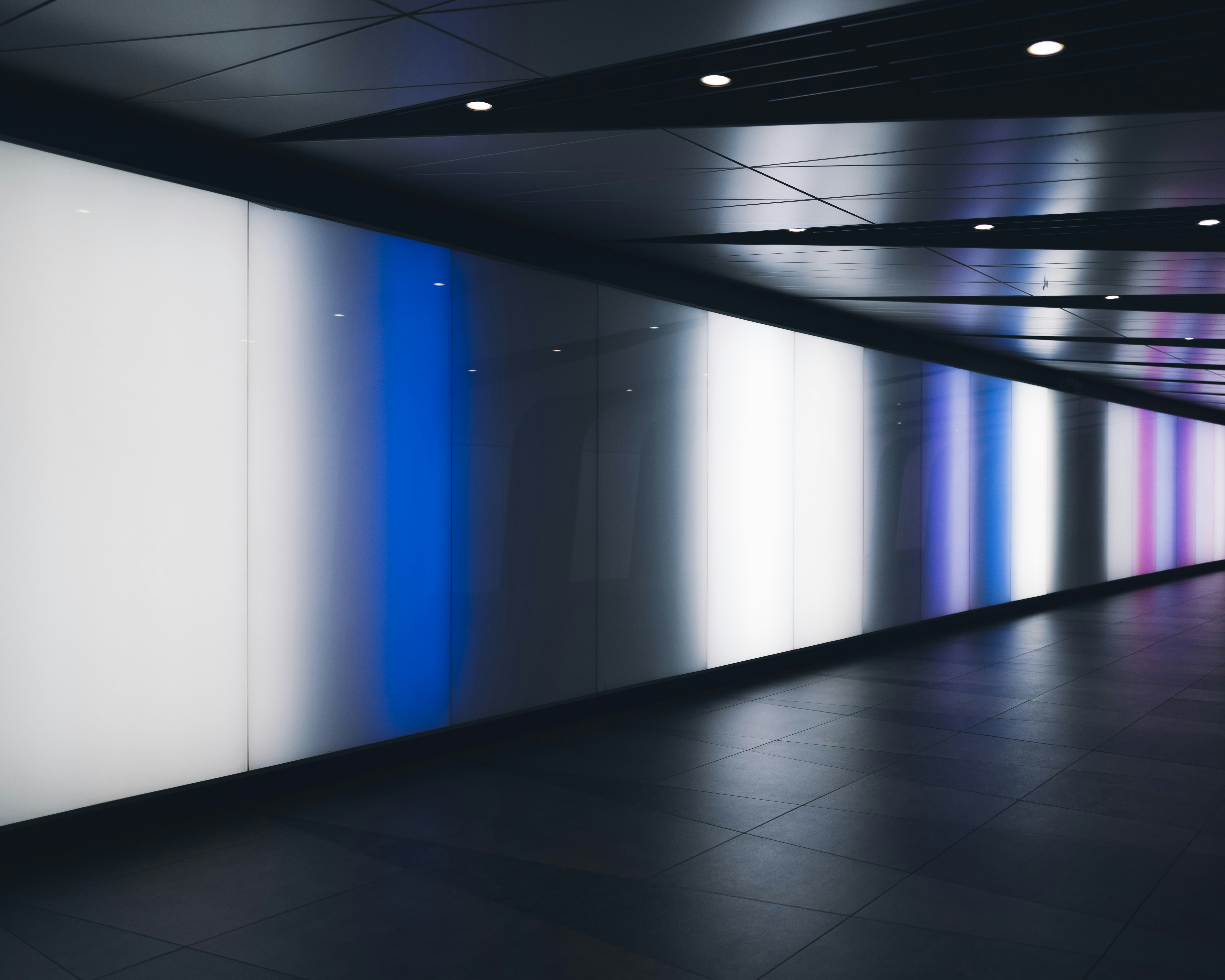Luminous Pathways: A Dance of Light and Shadow