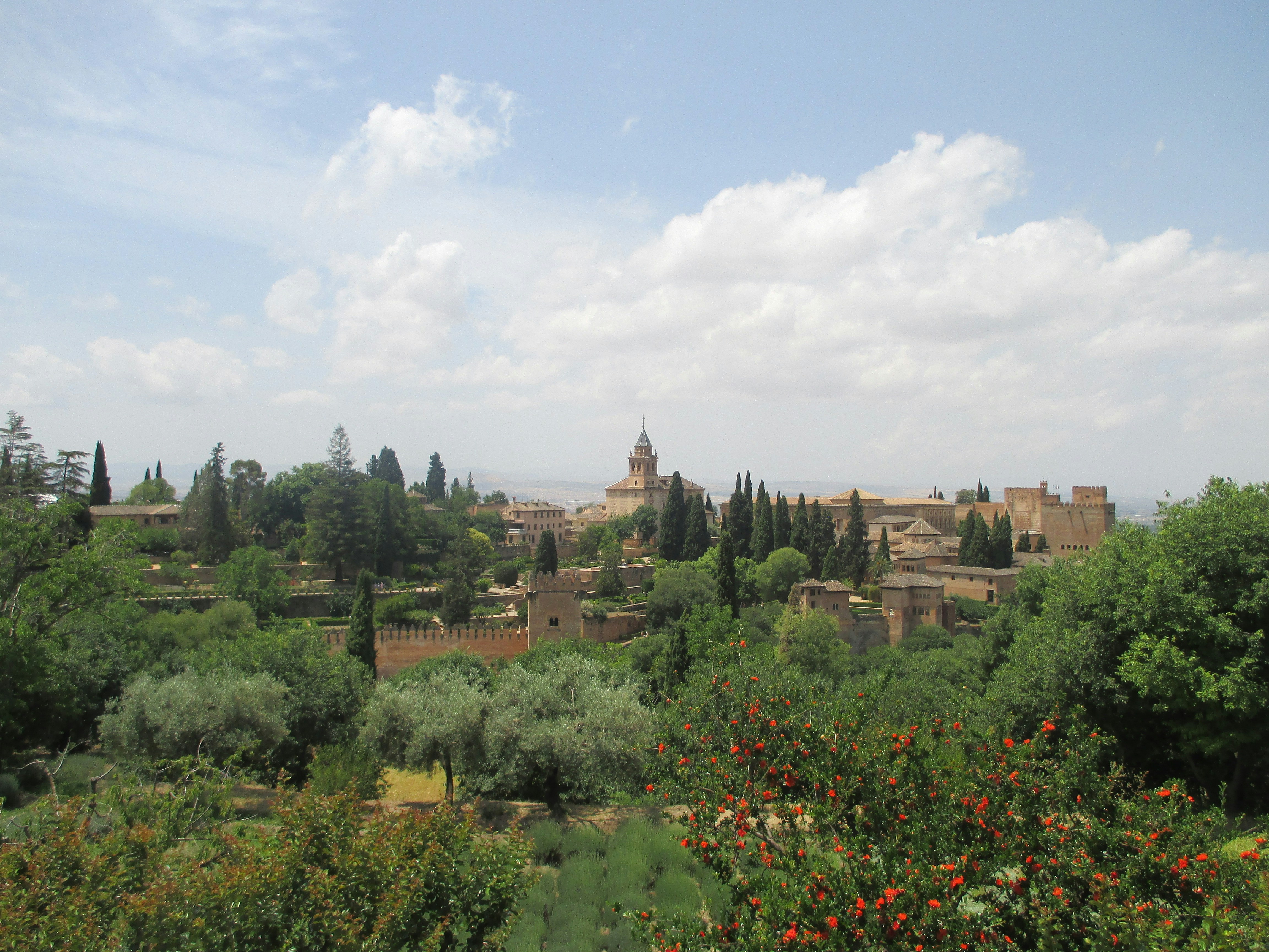 Alhambra | A scenic view of a lush, historic city.