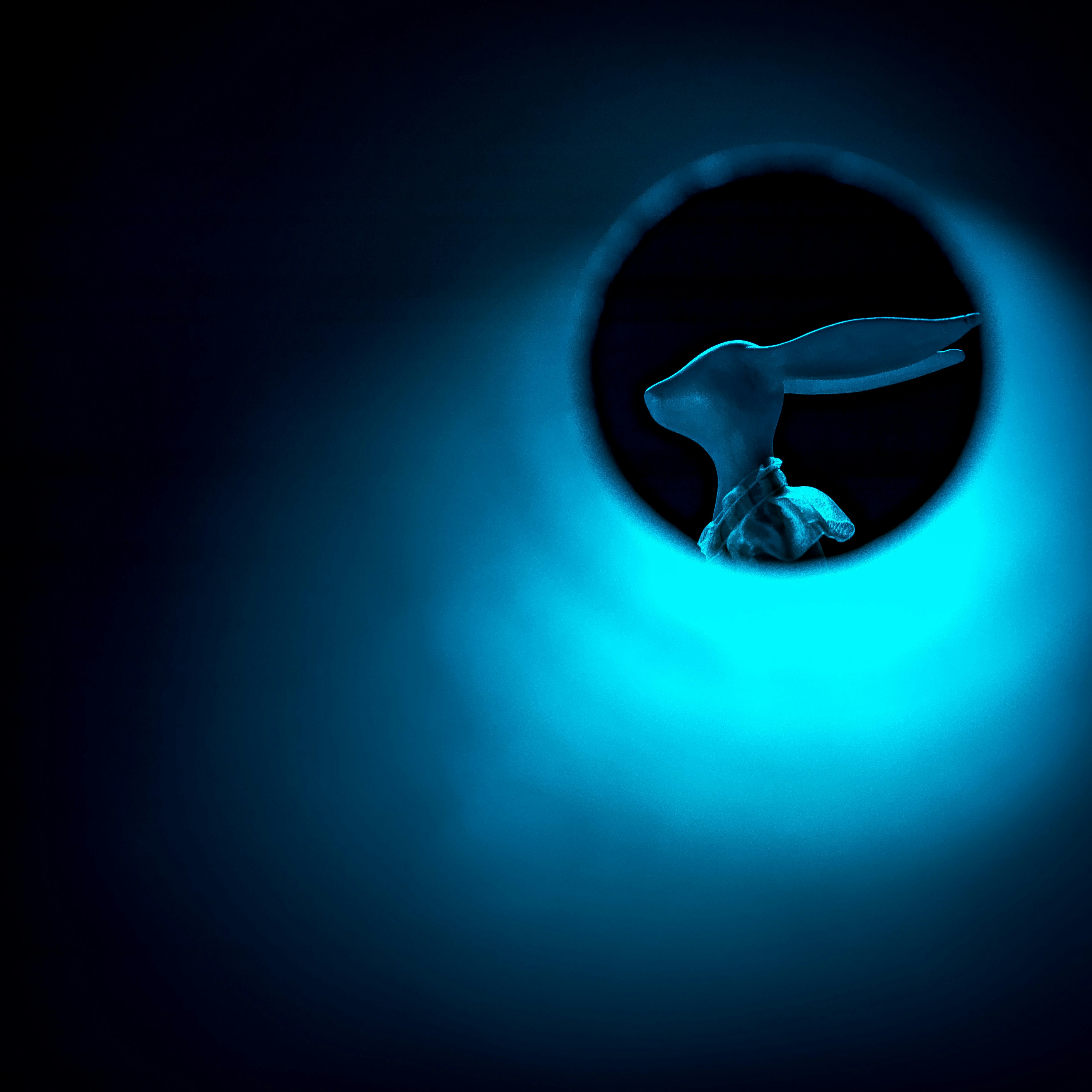 Whispers of the Abyss: A Rabbit's Gaze