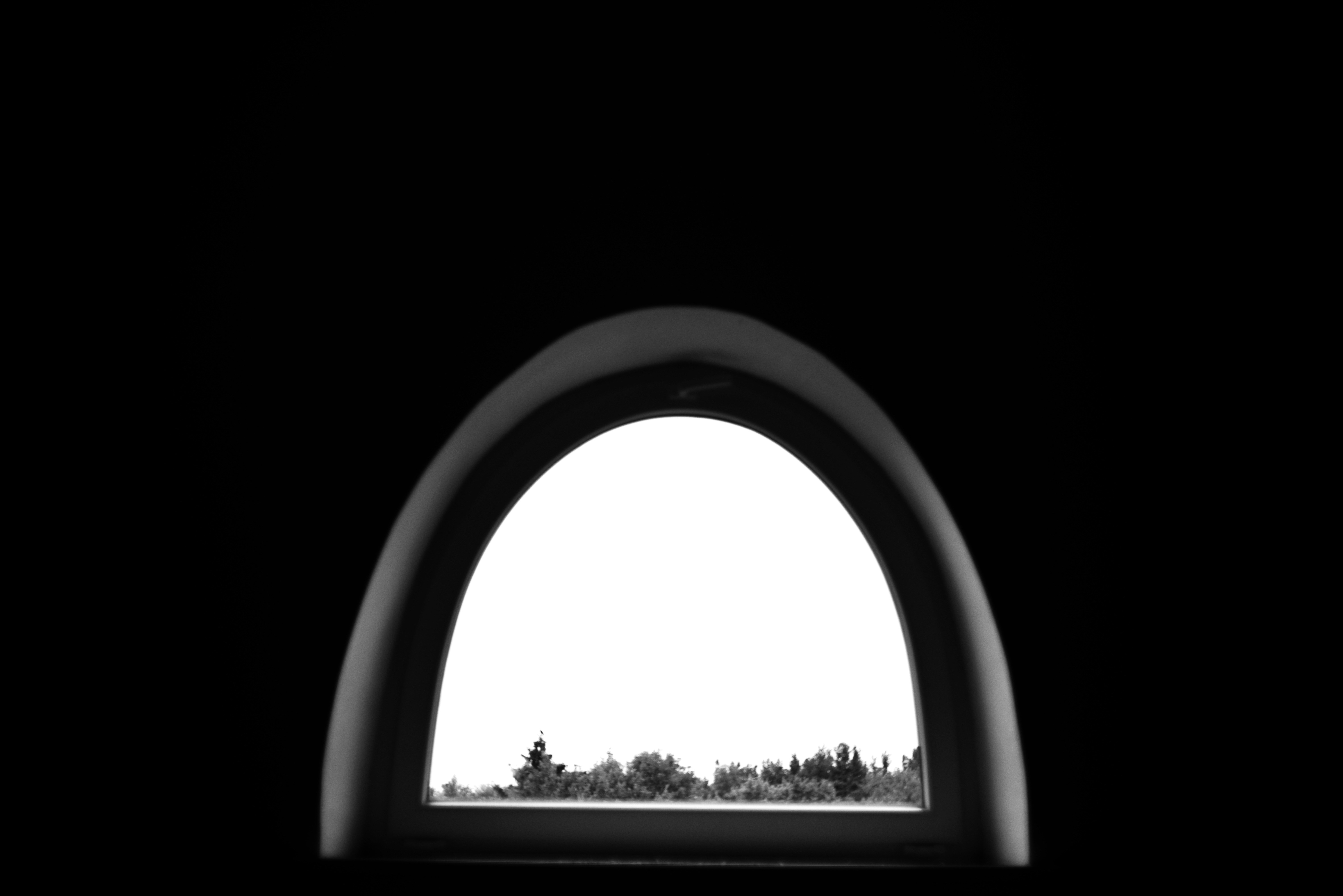 Framing Nature's Silhouette