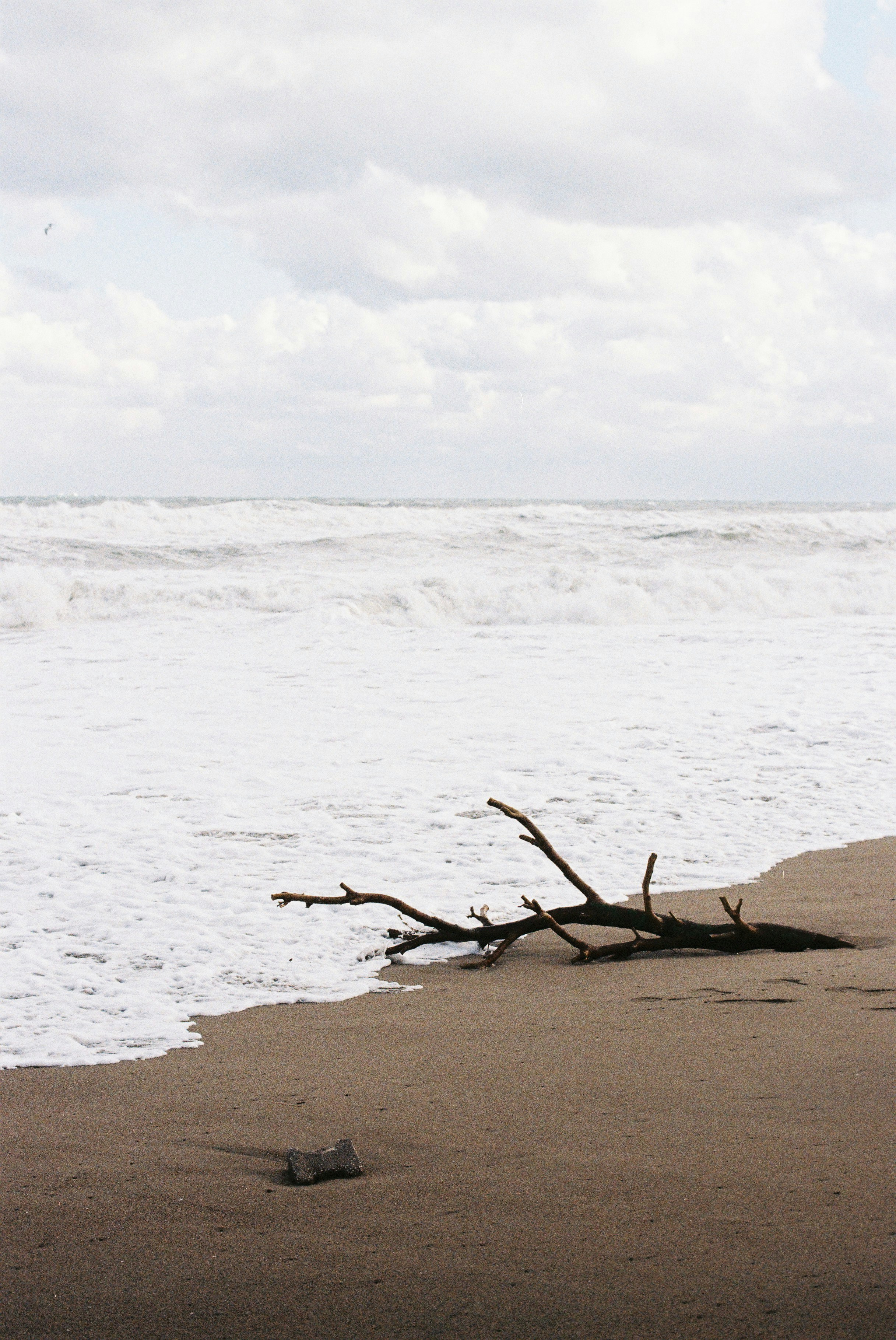 Driftwood rests on a beach as waves crash.