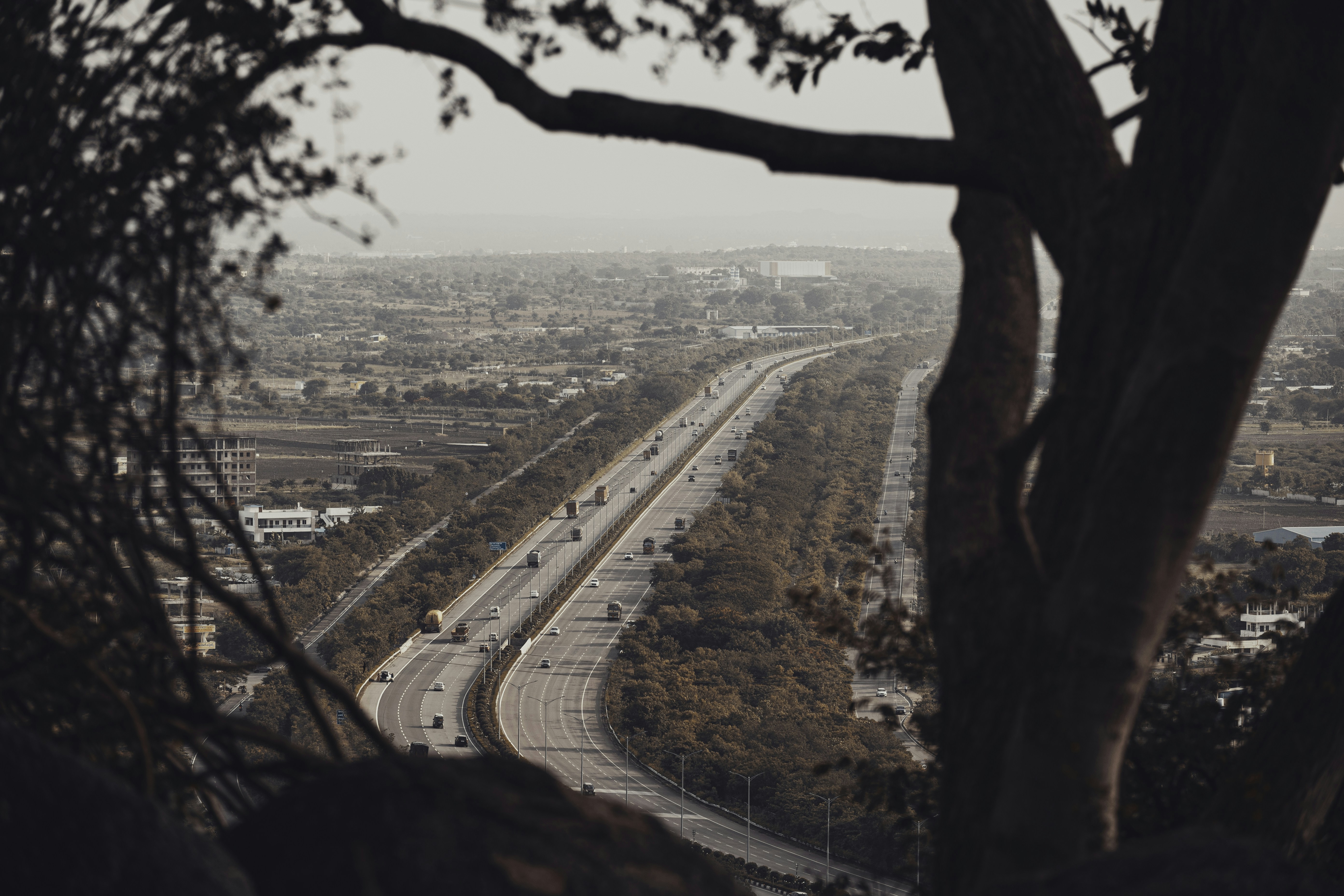 Urban Veins: A Journey Through the Landscape