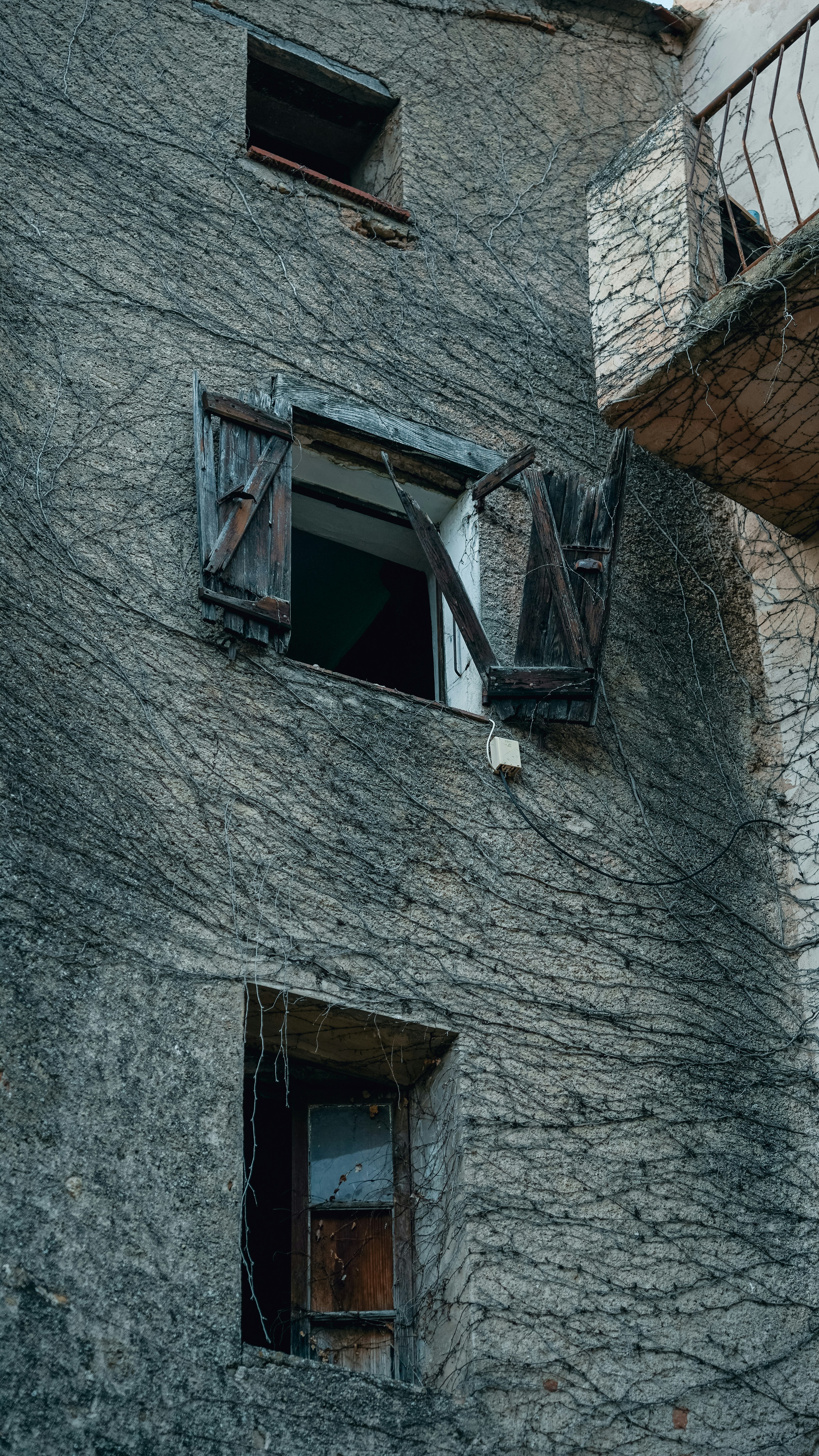 Old building facade overgrown with vines.