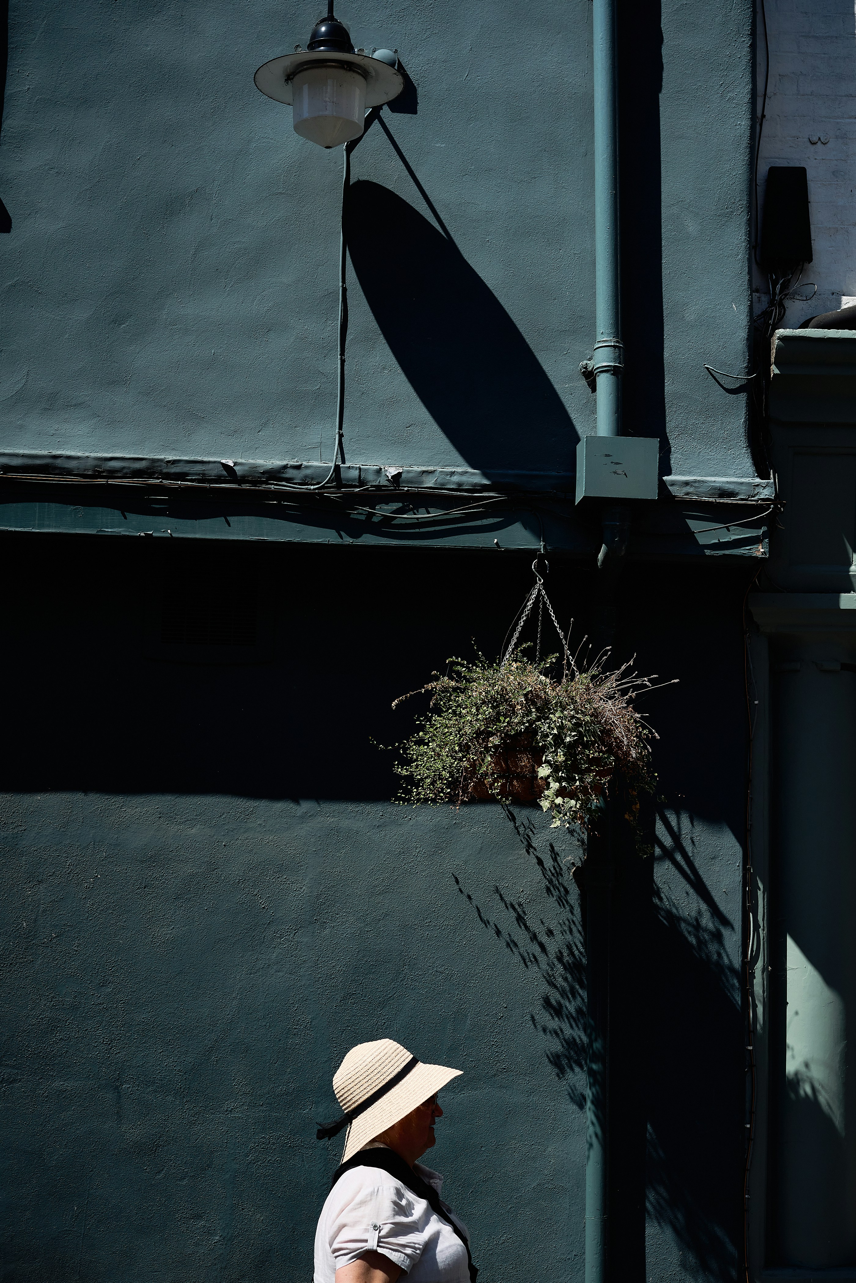 A woman walks past a dark wall with a plant.
