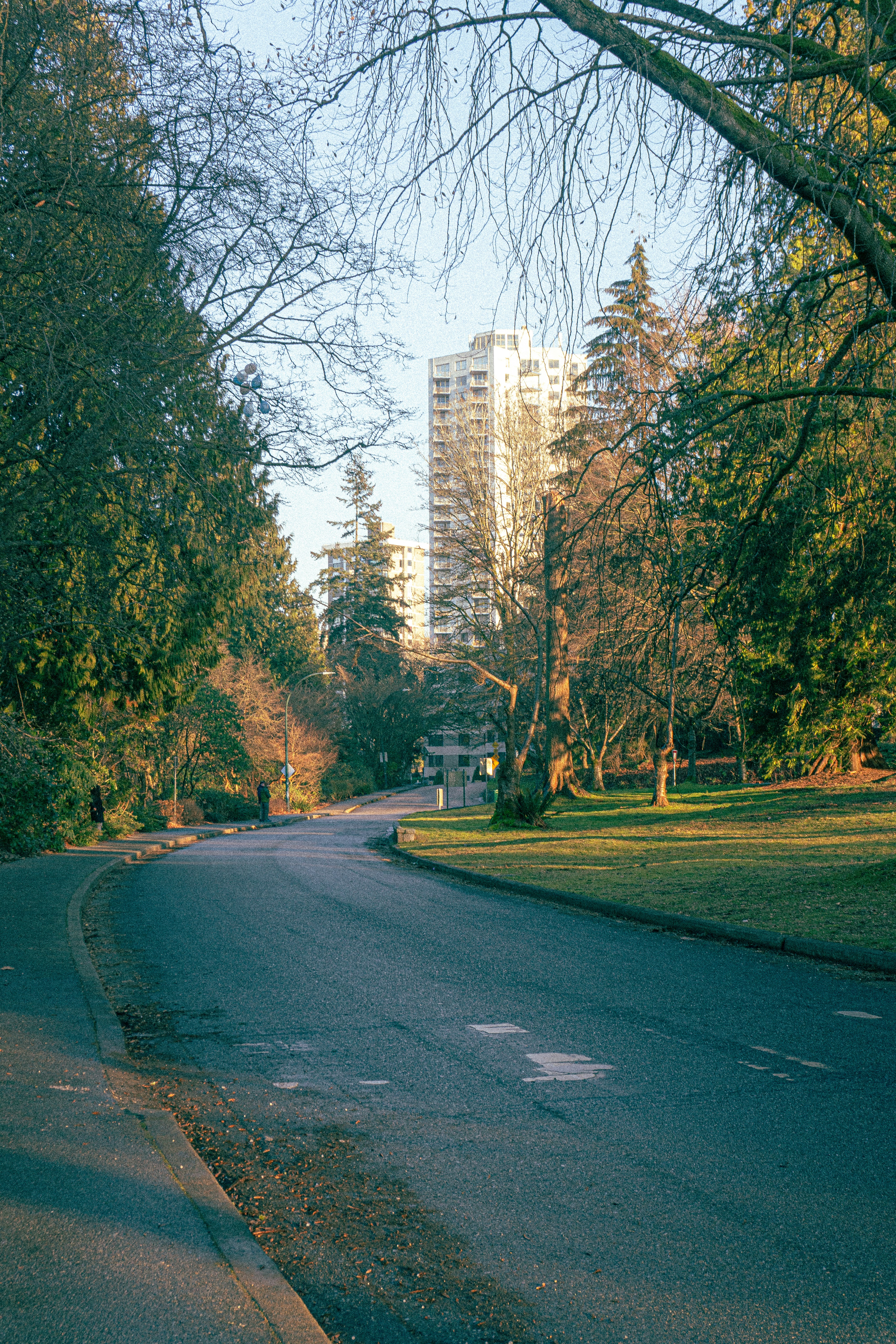 Urban Serenity Amidst Nature's Embrace