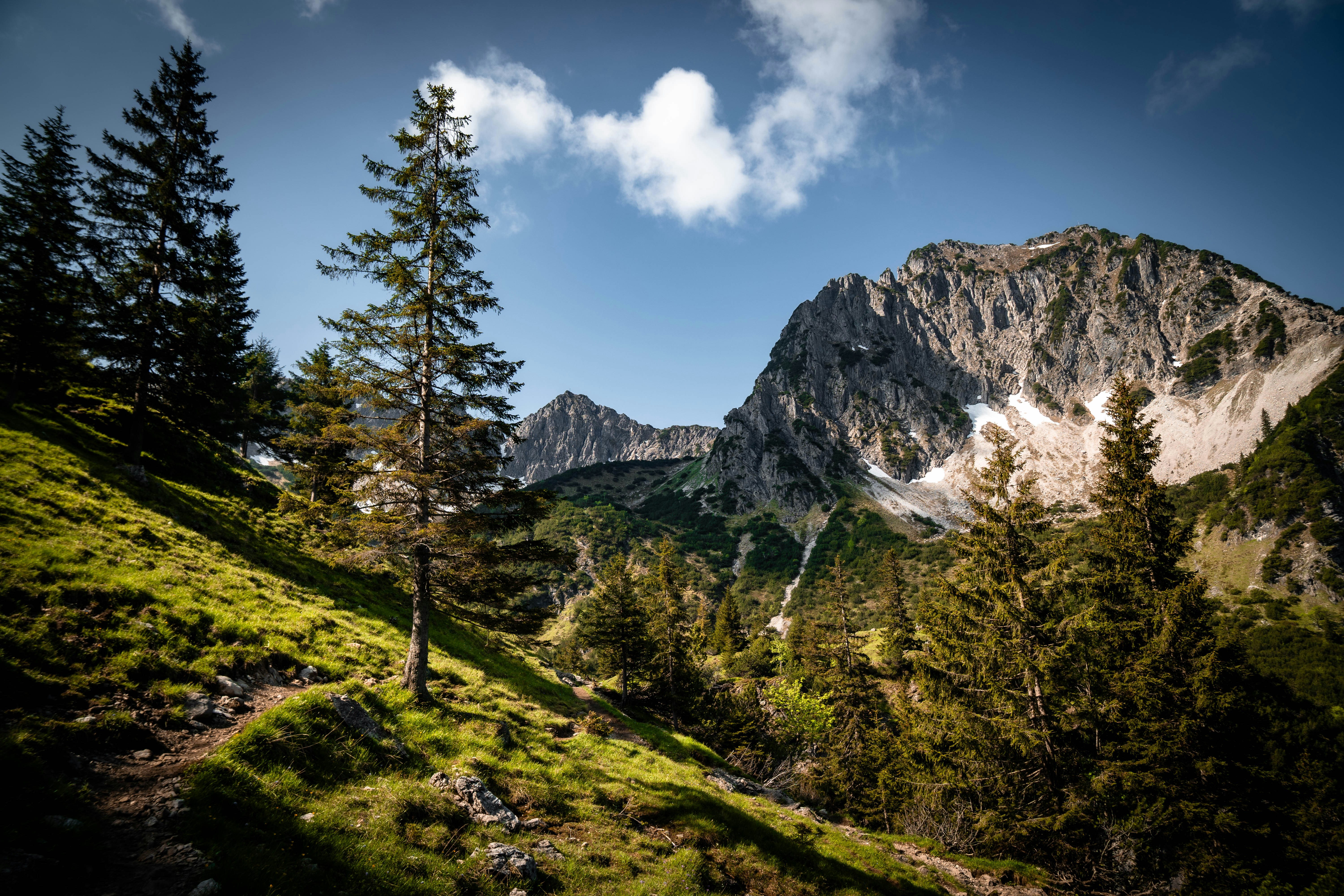 Whispers of the Alpine Wilderness