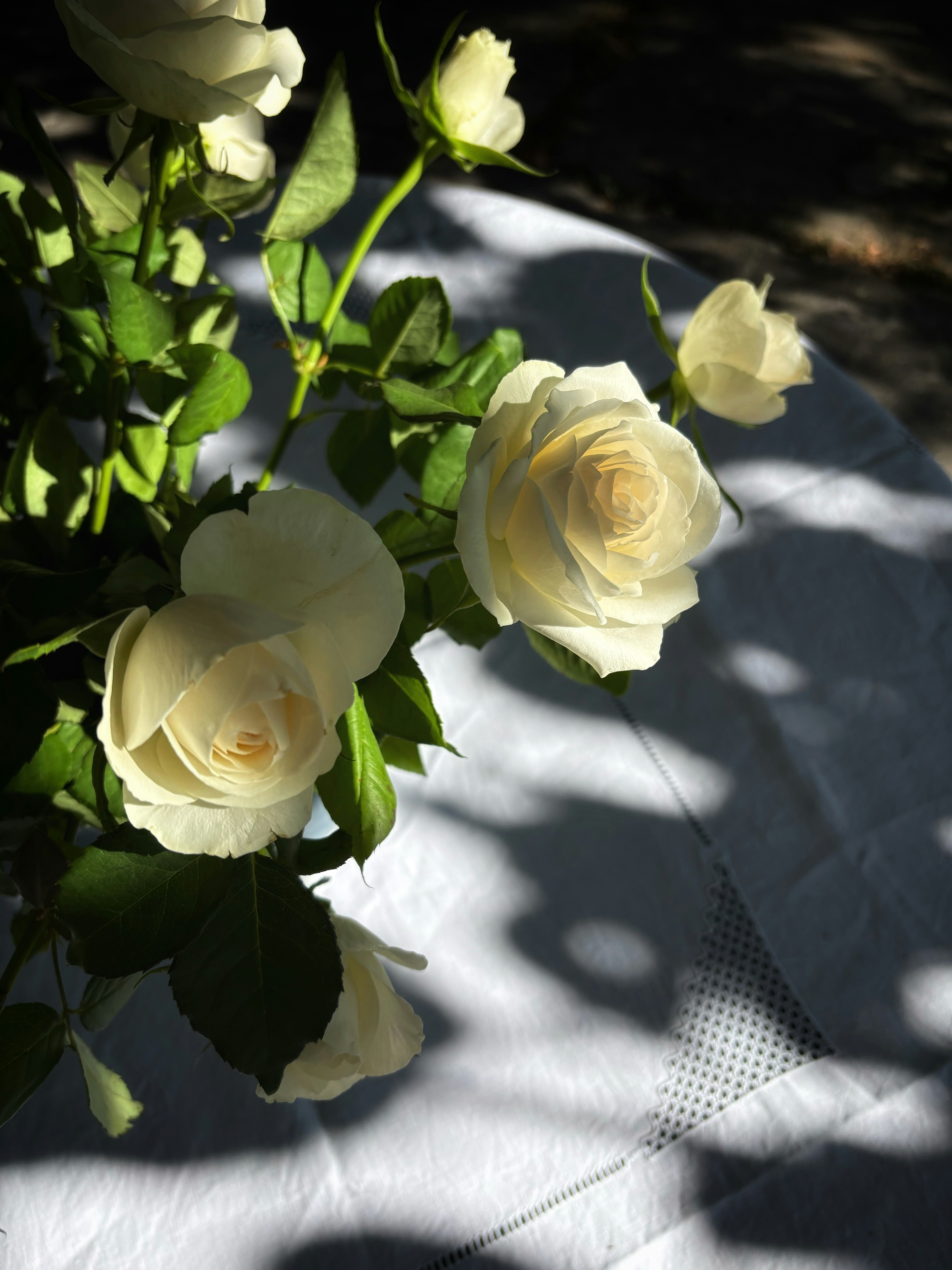 Whispers of Elegance: A Floral Embrace