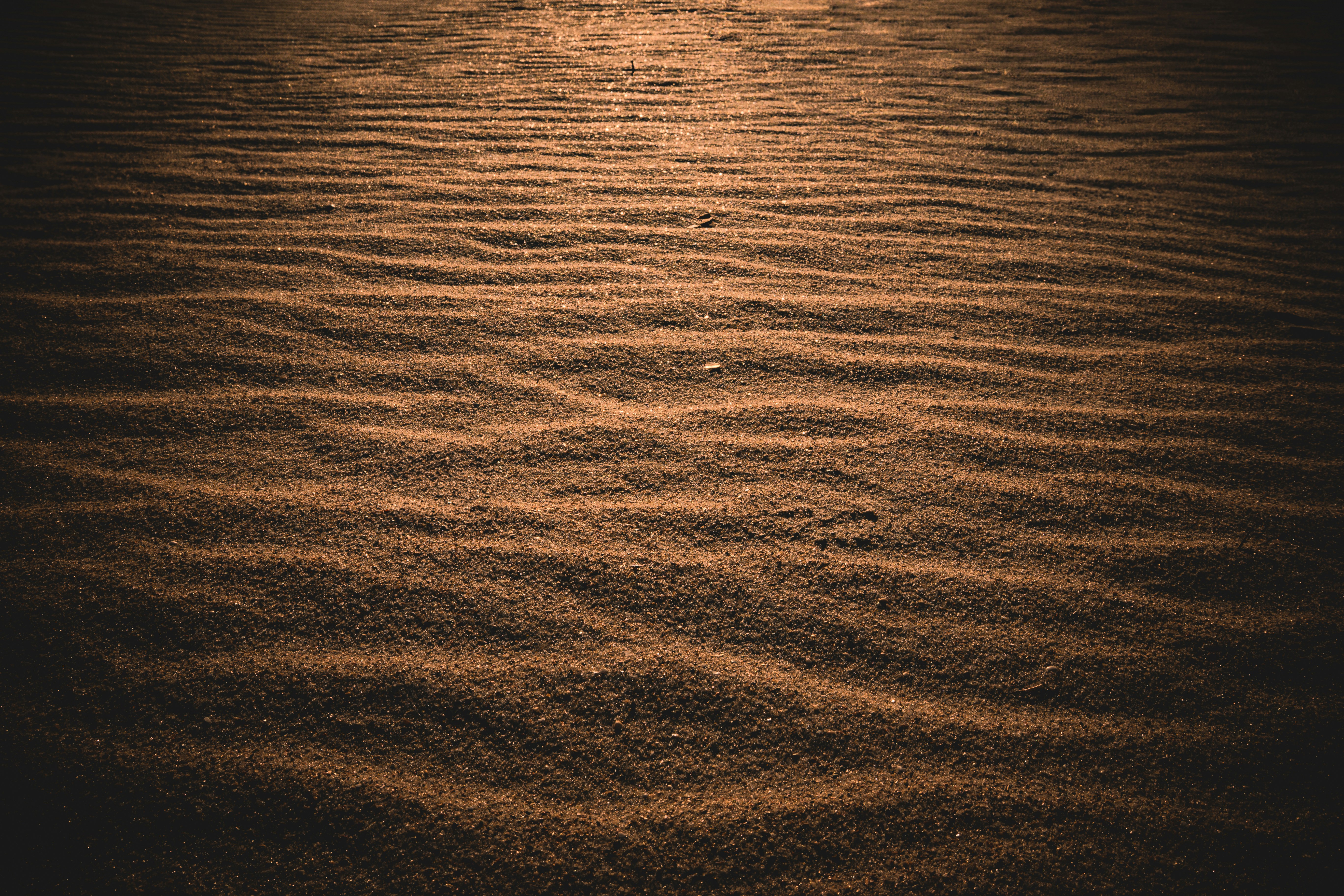Whispers of the Dunes