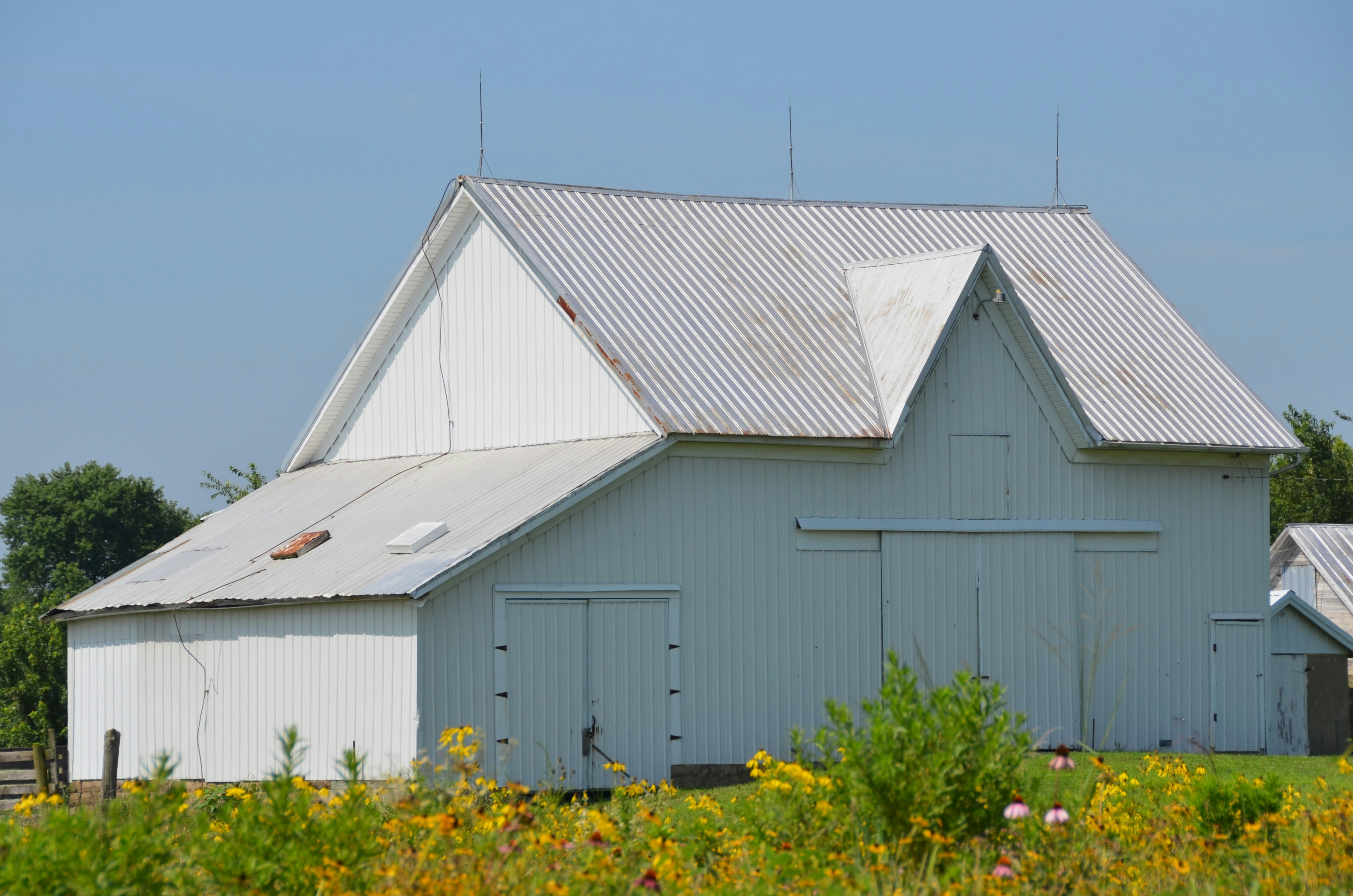 Whispers of Rural Heritage: The Timeless Barn