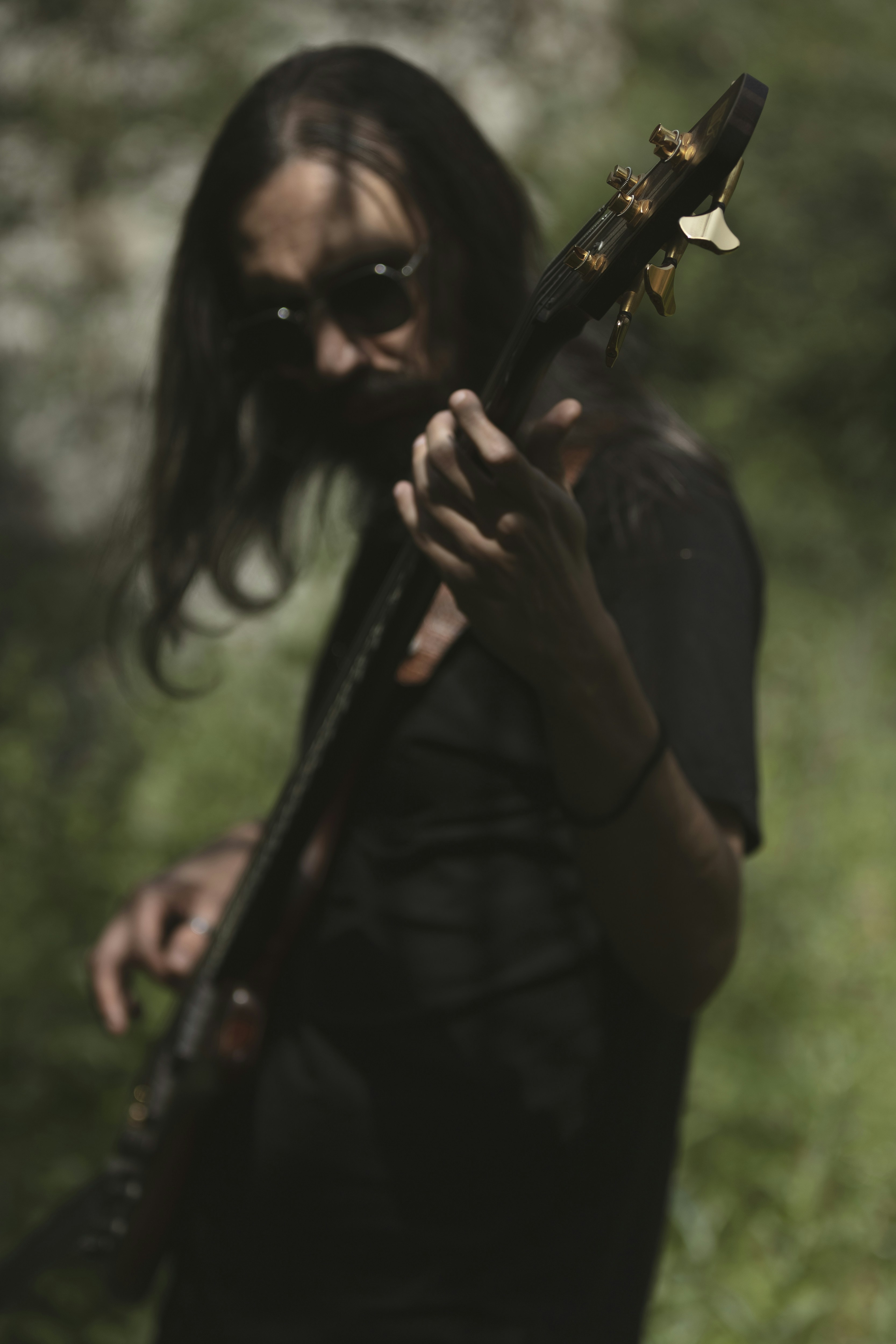 Melody in the Shadows