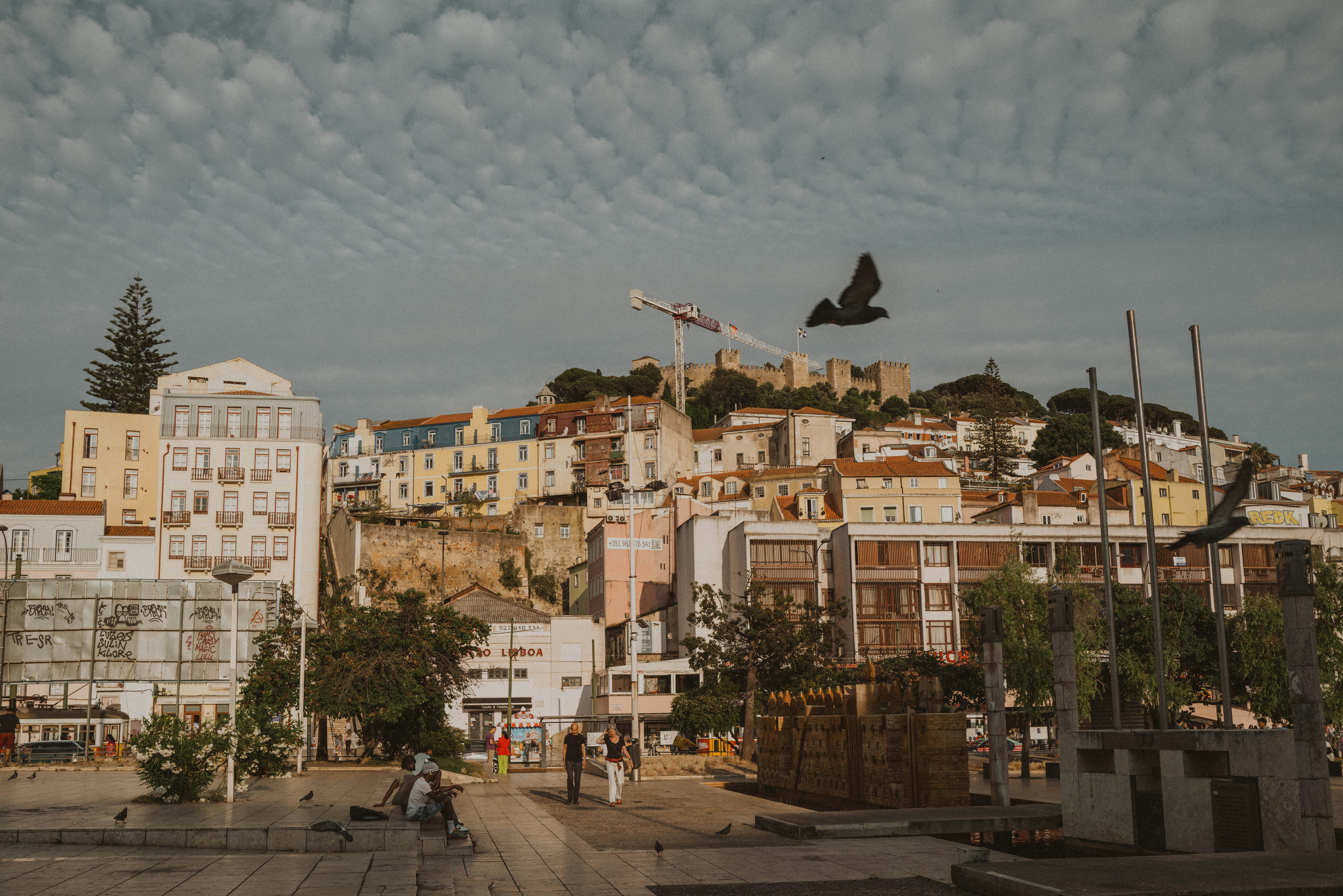Bird over the Painted Quarter: A Coastal Town in Motion