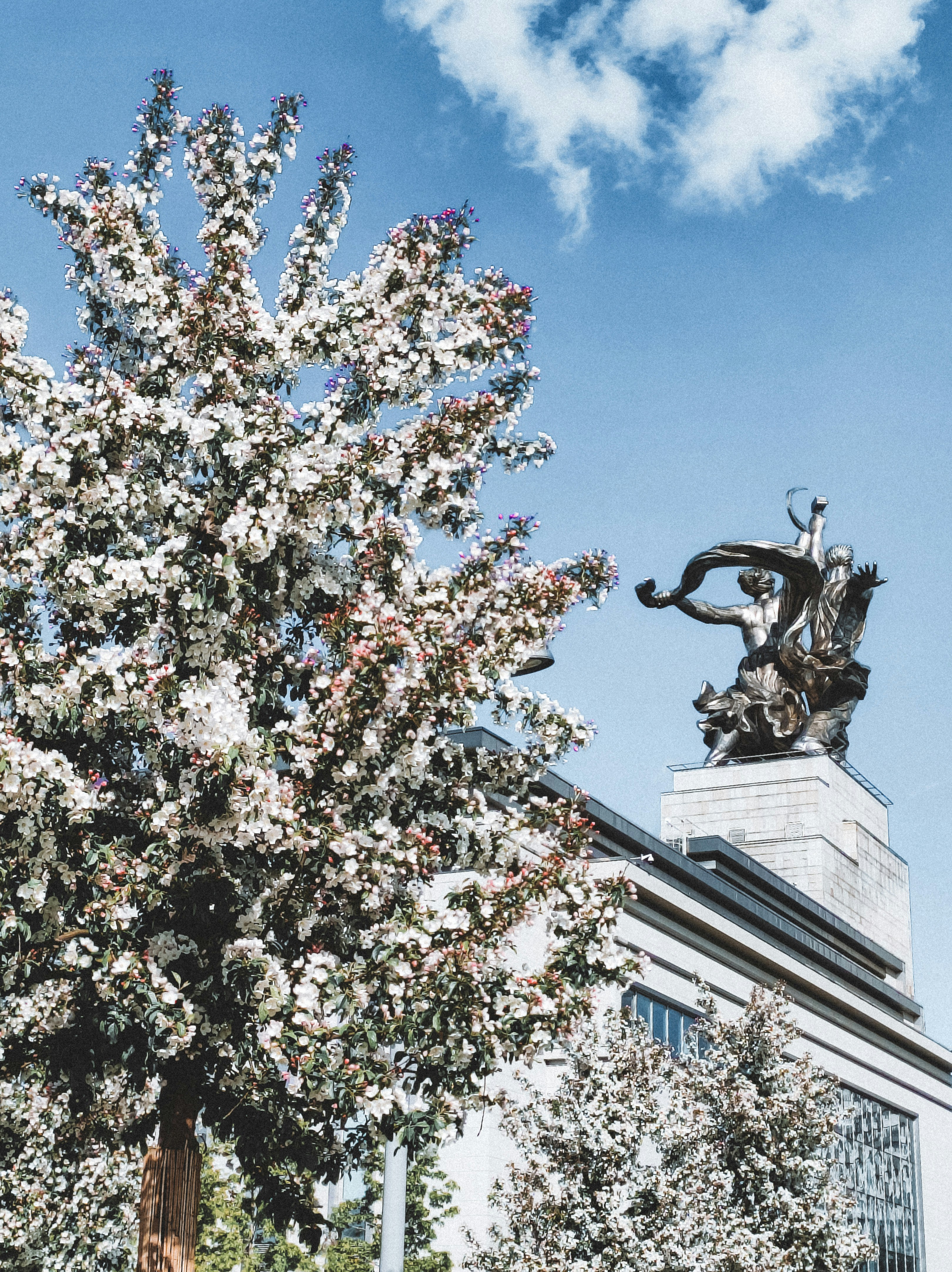 Spring blossoms in front of the Worker and Kolkhoz Woman monument in Moscow | Beautiful blossoms frame a building and statue.