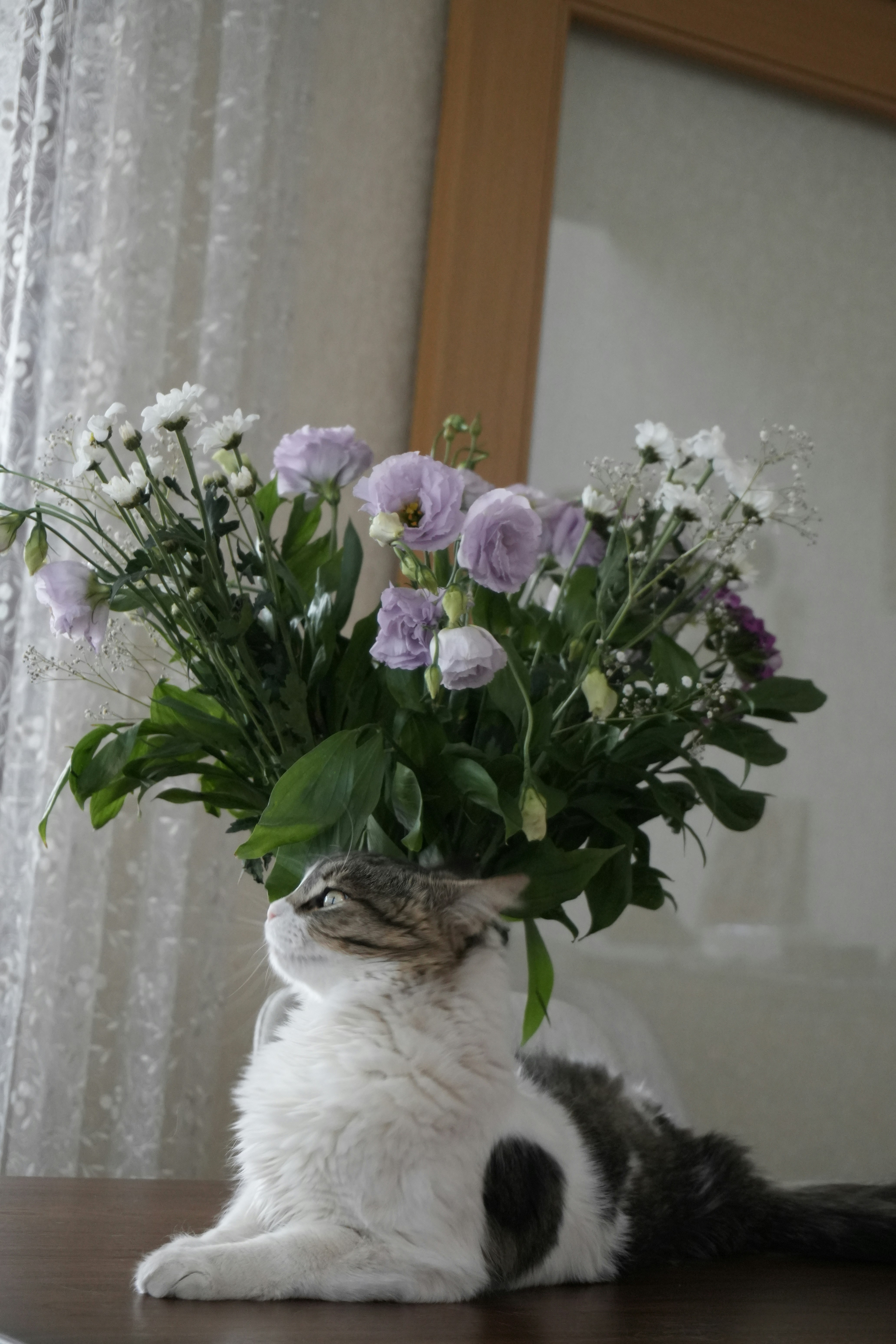 Floral Feline Fusion