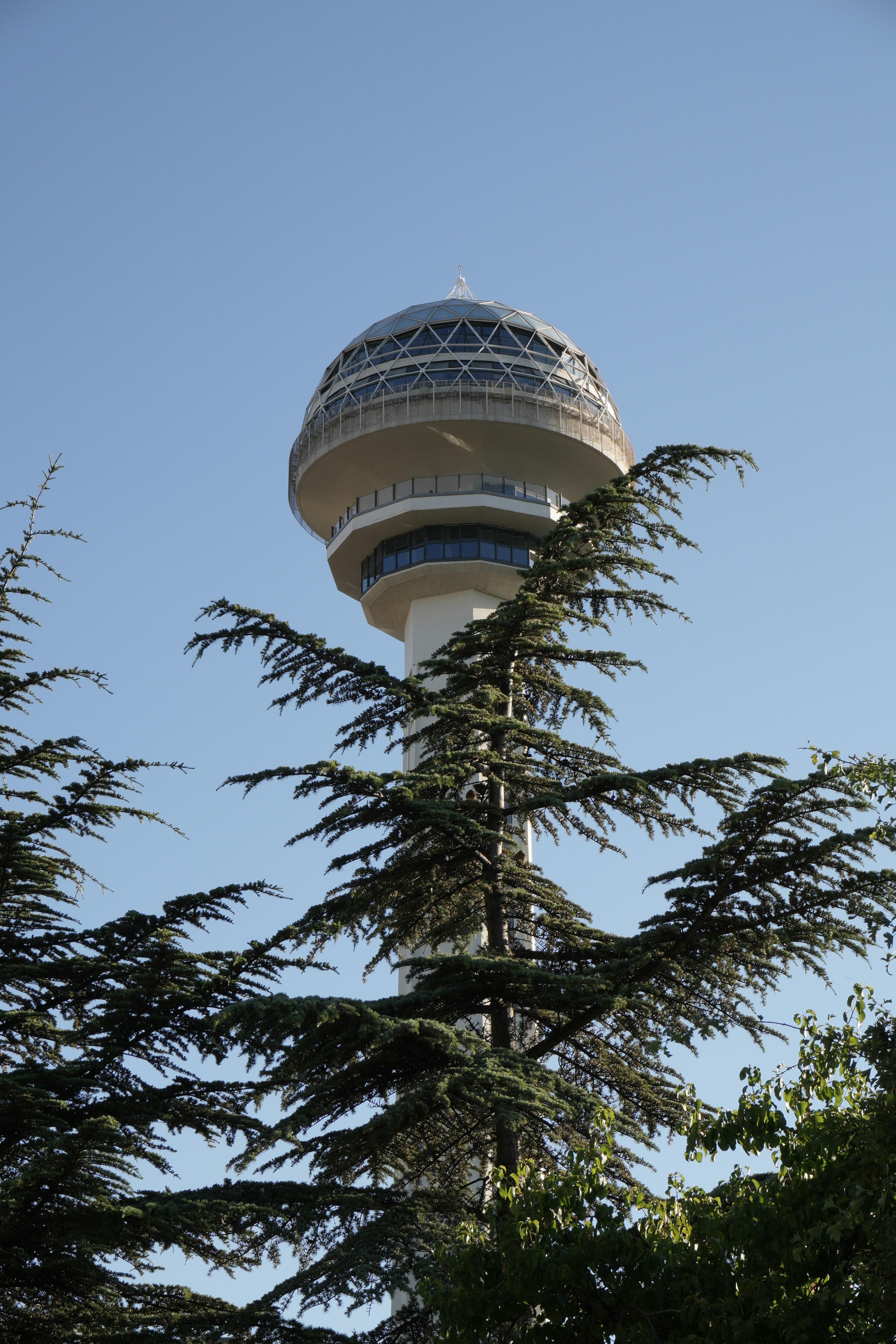 Skyward Sentinel: The Tower Among Trees