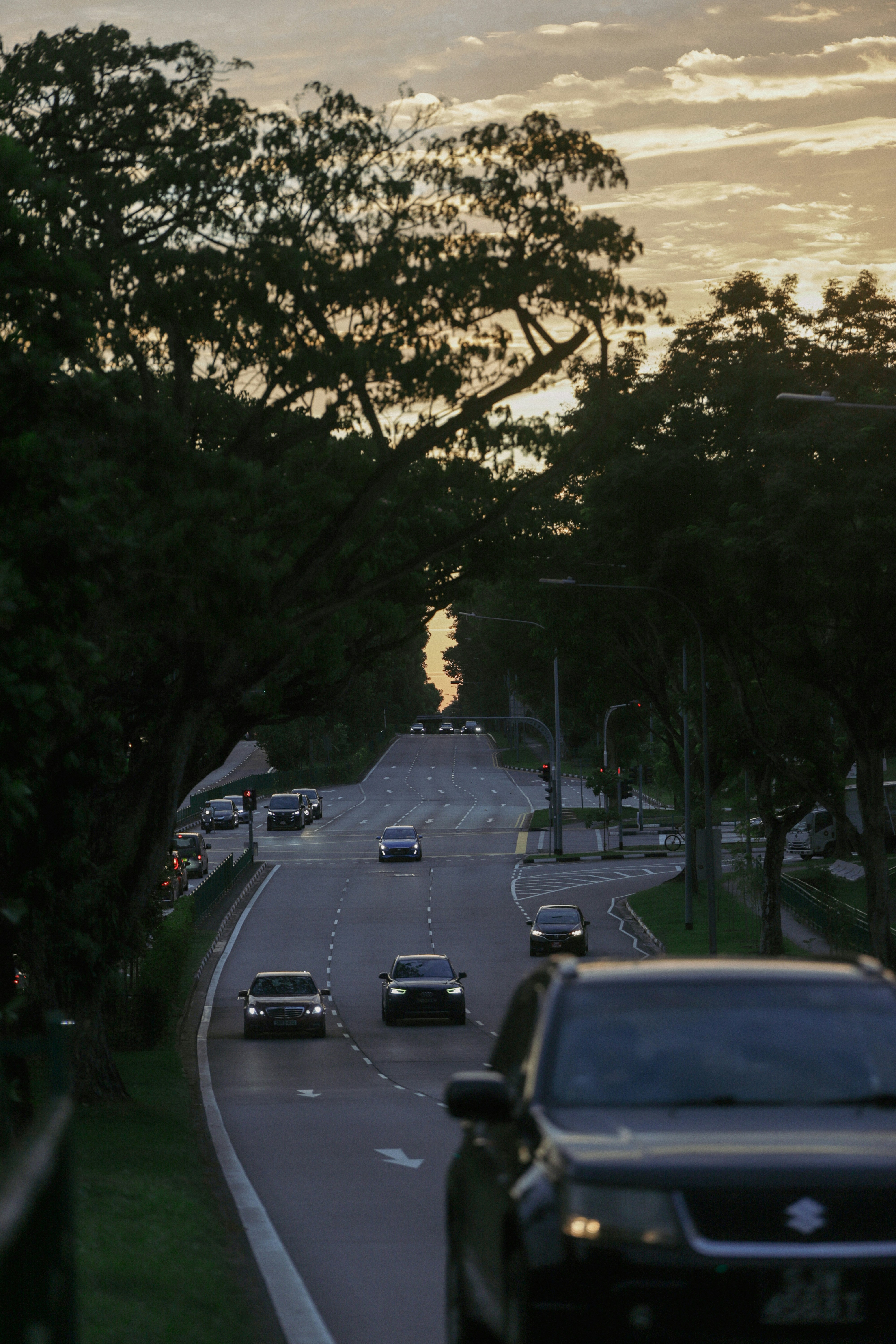 Cars travel down a tree-lined road at dusk.