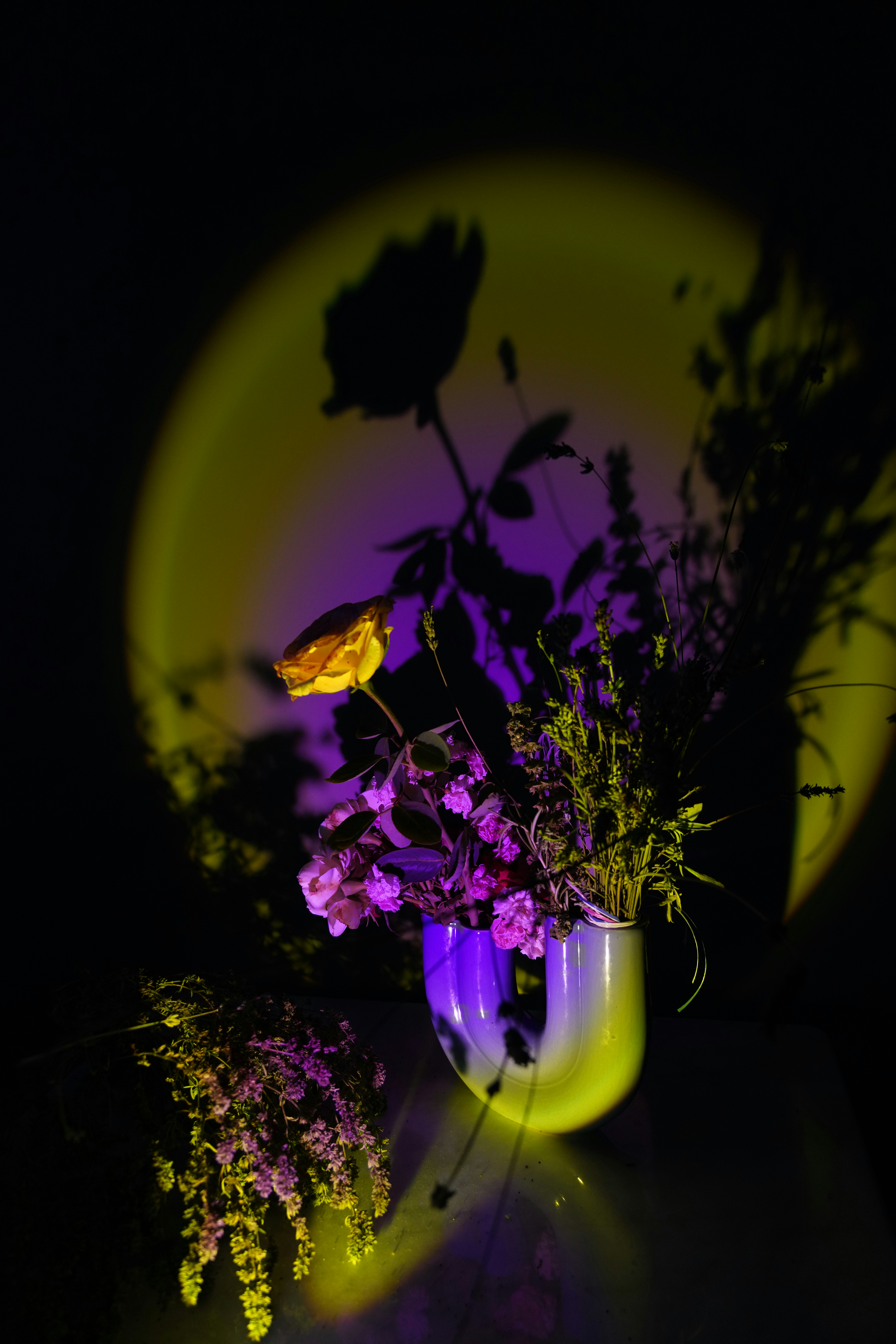 Bloom Under Neon Halo: A Floral Still Life in Perpetual Spotlight