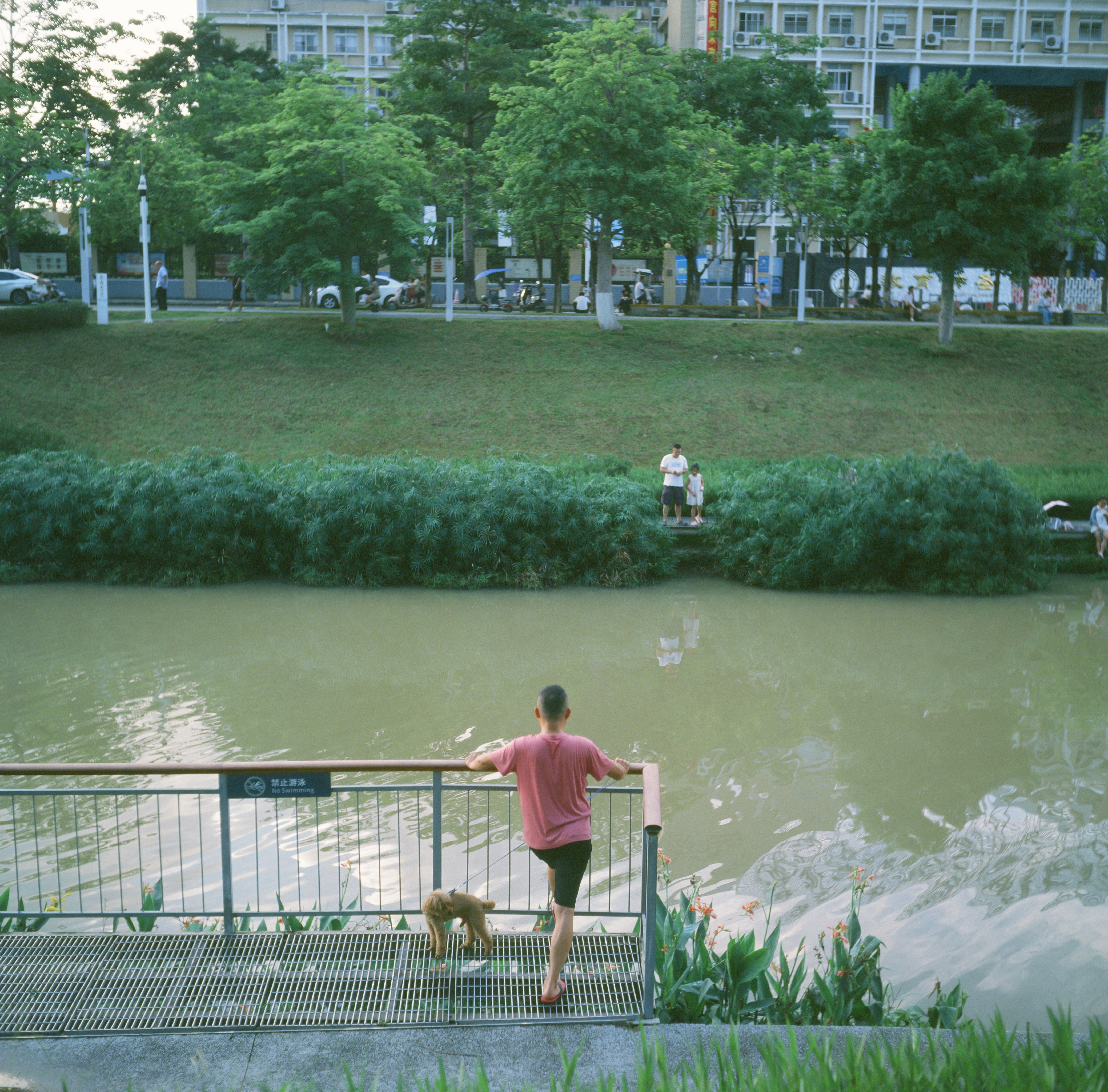 A man and dog look out at a river.