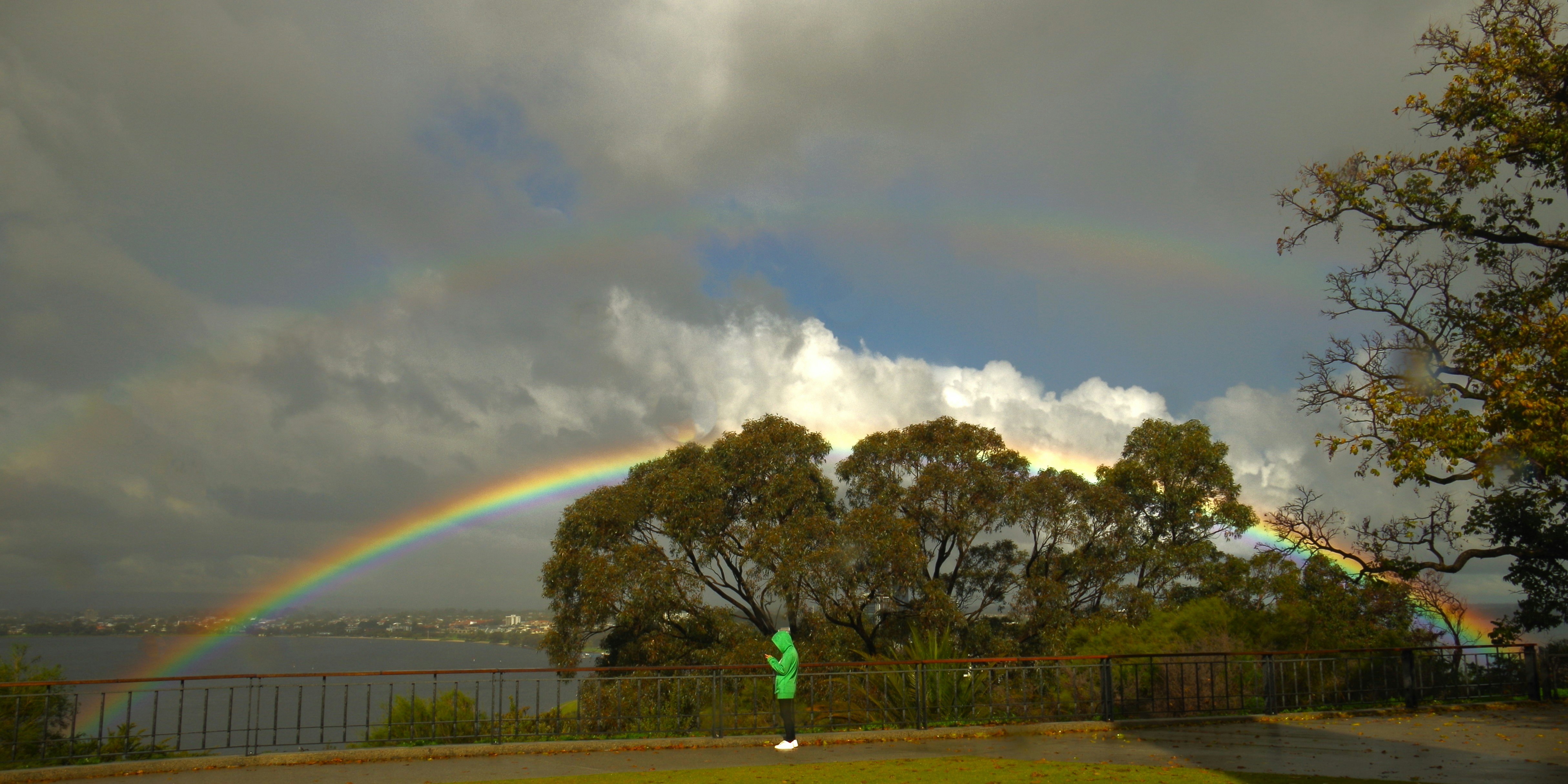 A Spectral Embrace: Nature's Arc