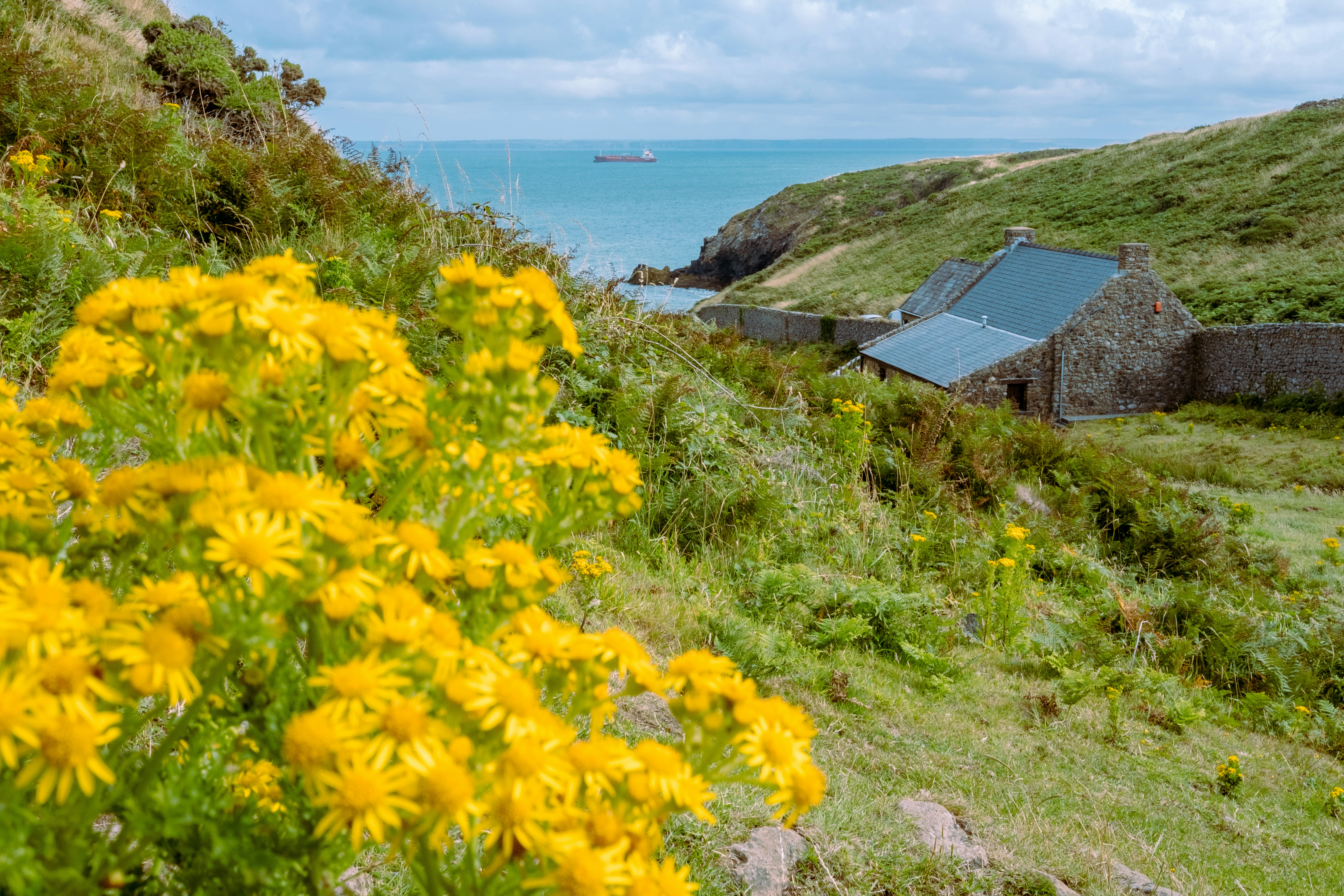 Coastal Serenity: A Hidden Retreat
