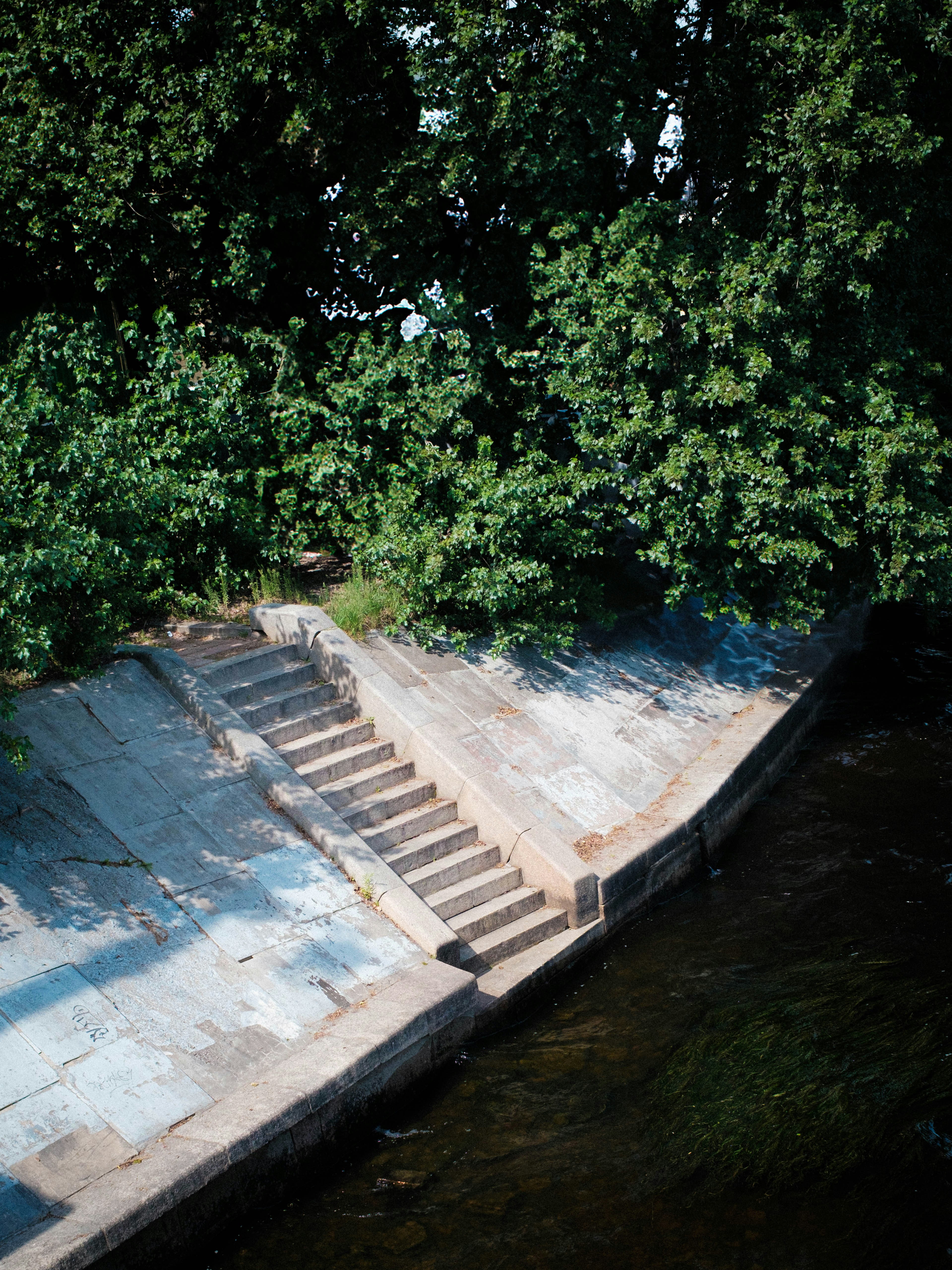 Nature's Embrace: The Steps to Serenity