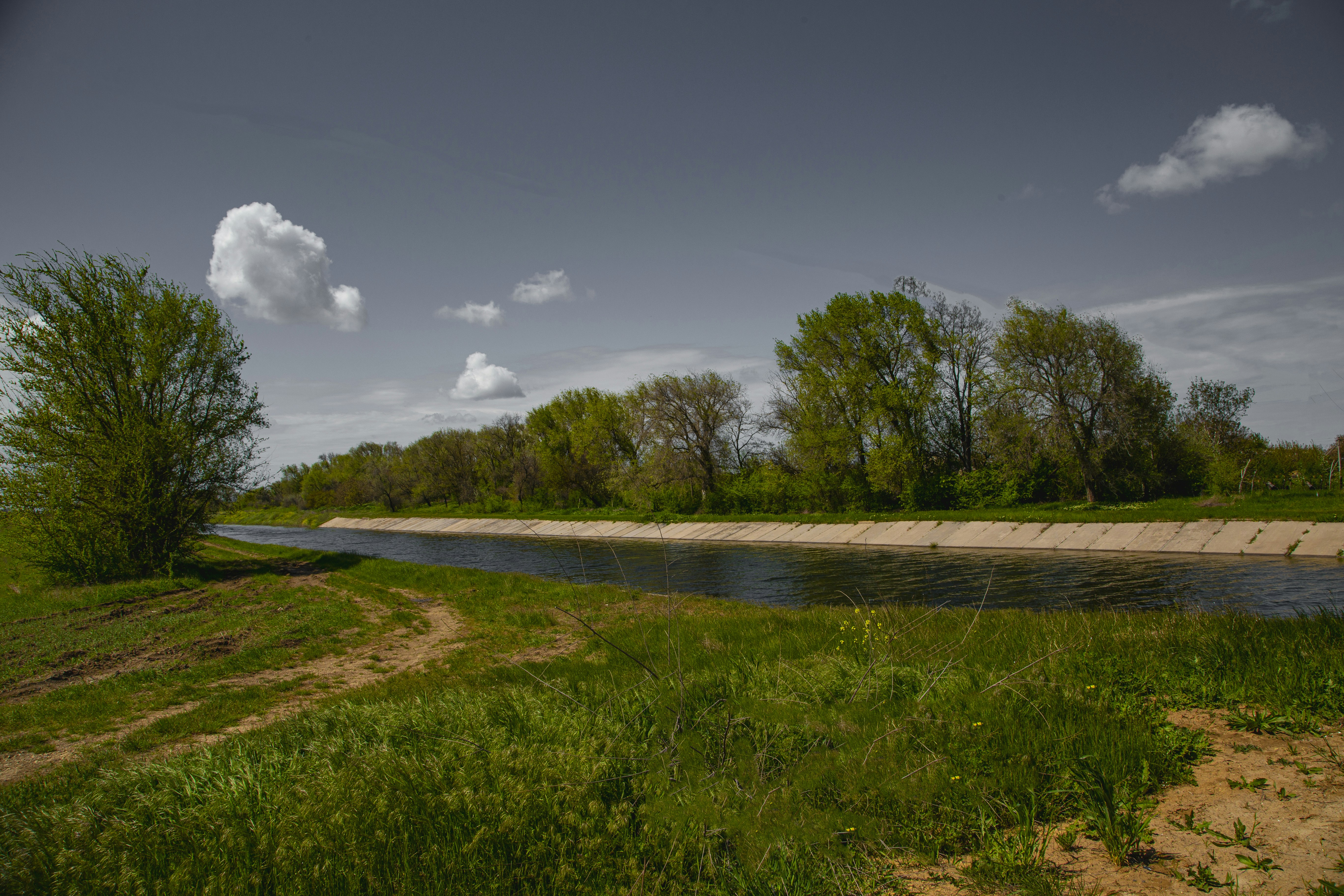 A canal runs through a lush green landscape. photo – Free Forest Image ...