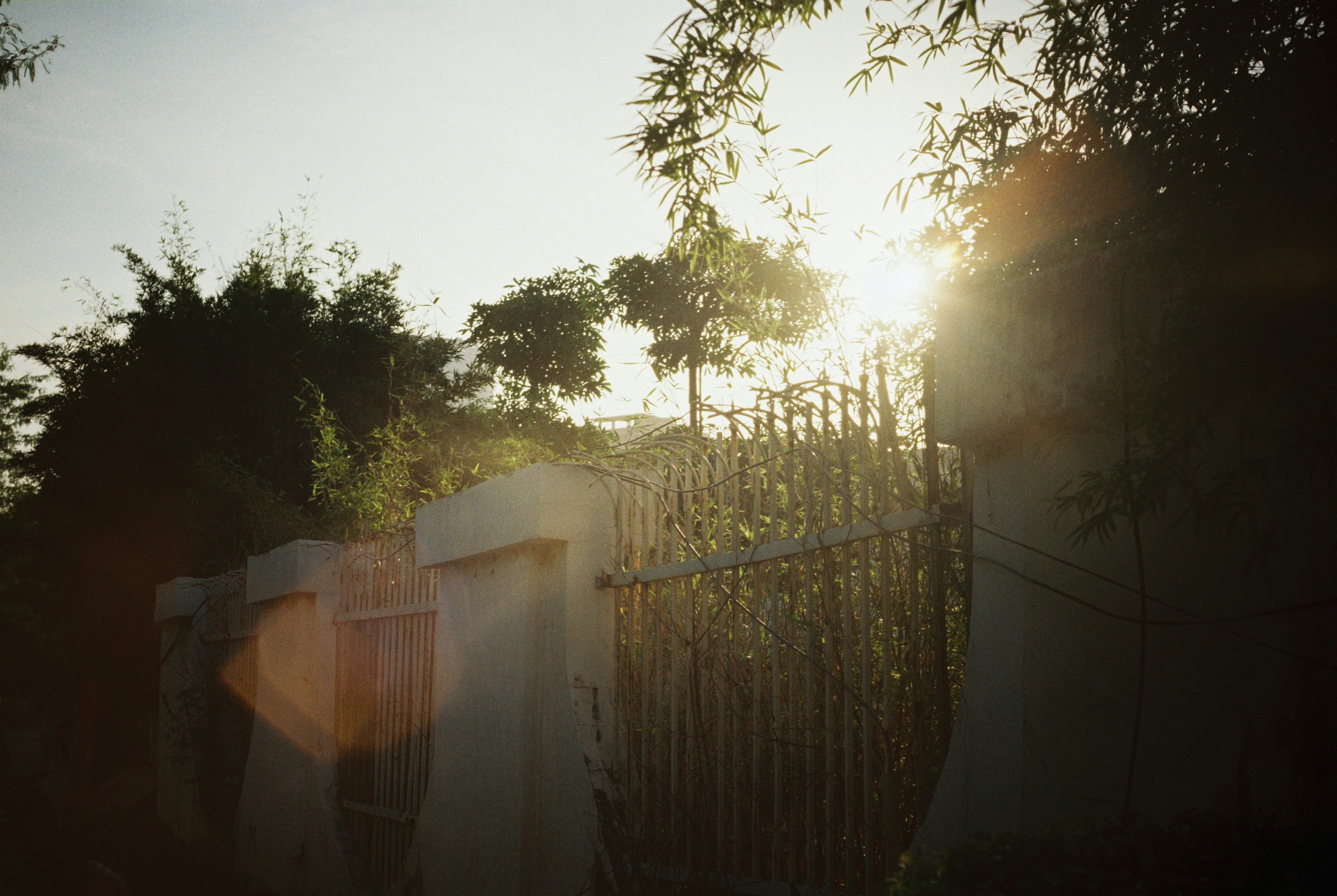 Whispers of Nature Beyond the Gate