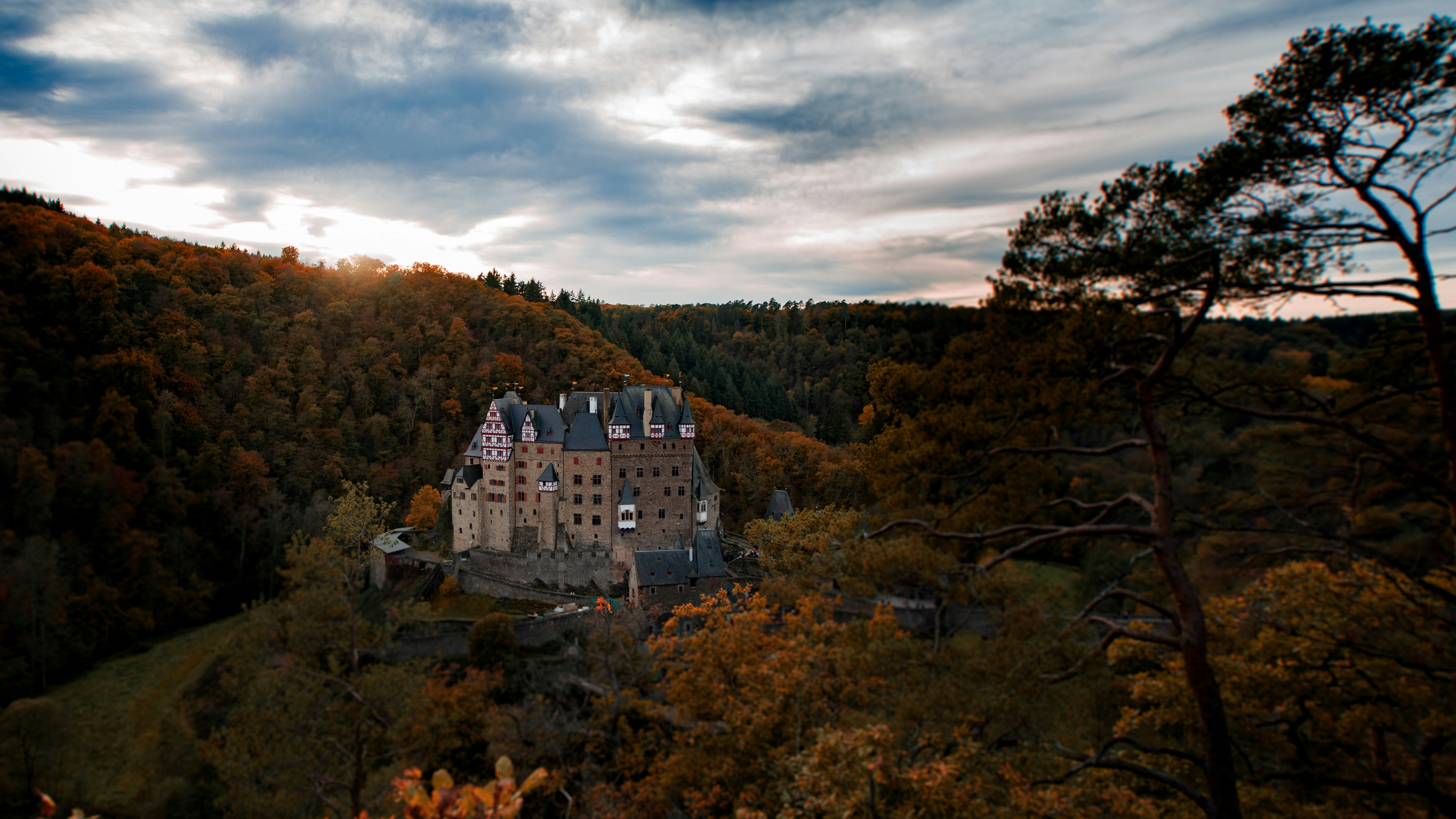 A majestic castle resides amongst autumn trees.
