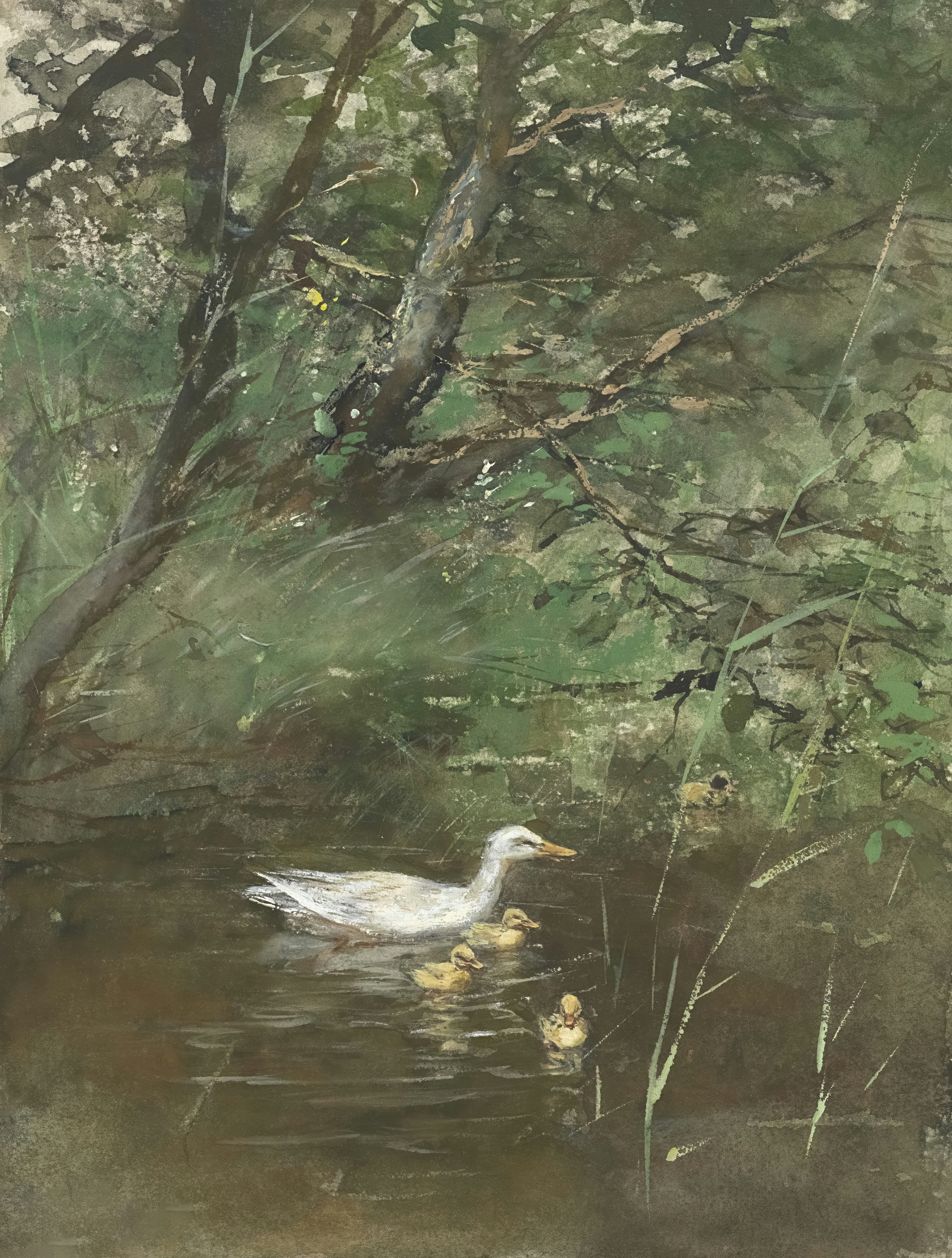 Title: Eendjes in het water Publisher: Rijksmuseum Date: 1854 - 1910 Providing institution: Rijksmuseum Aggregator: Rijksmuseum Providing Country: Netherlands Public Domain Eendjes in het water - Rijksmuseum, Netherlands - Public Domain.