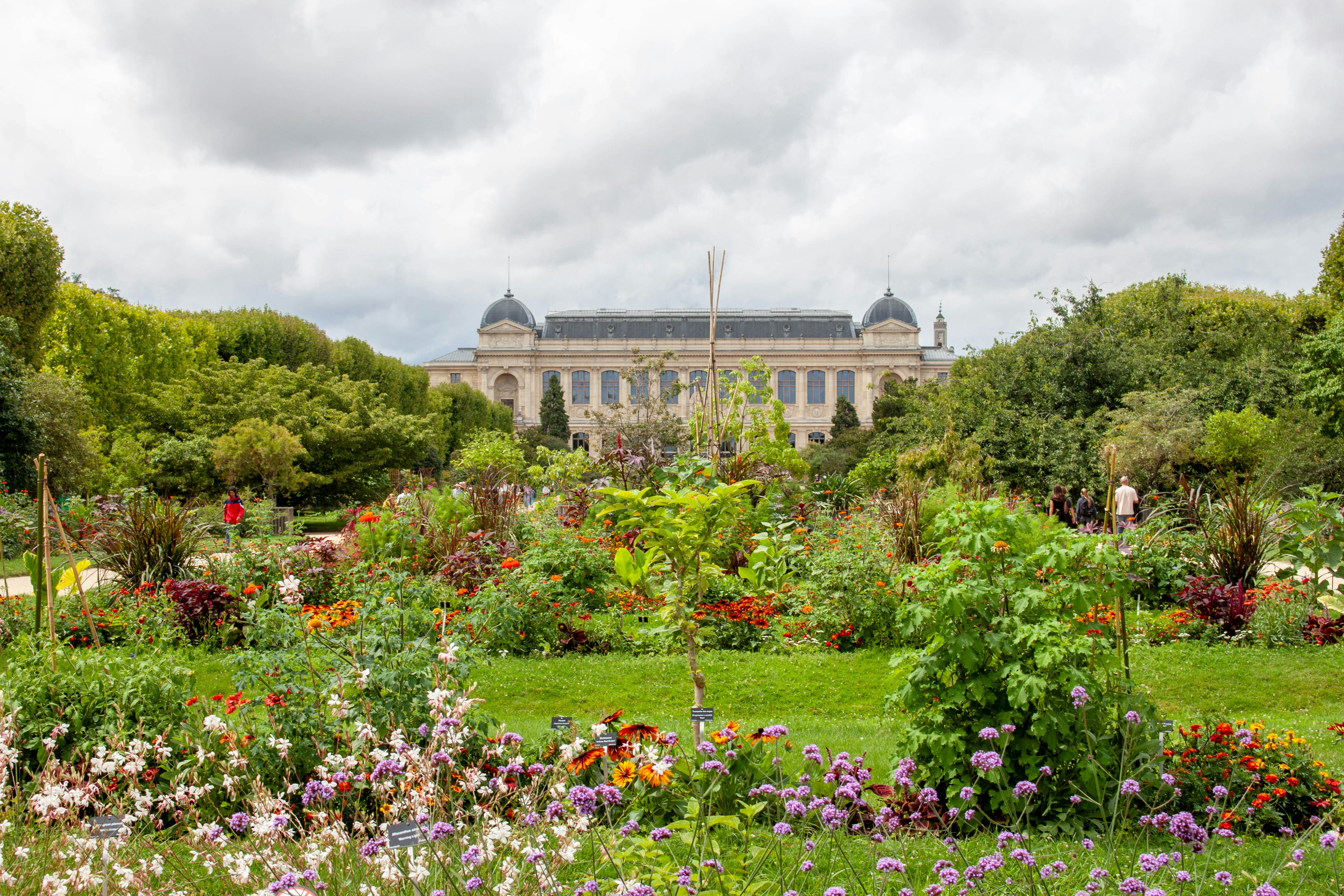 Rare Flowers in Berlin Botanical Gardens