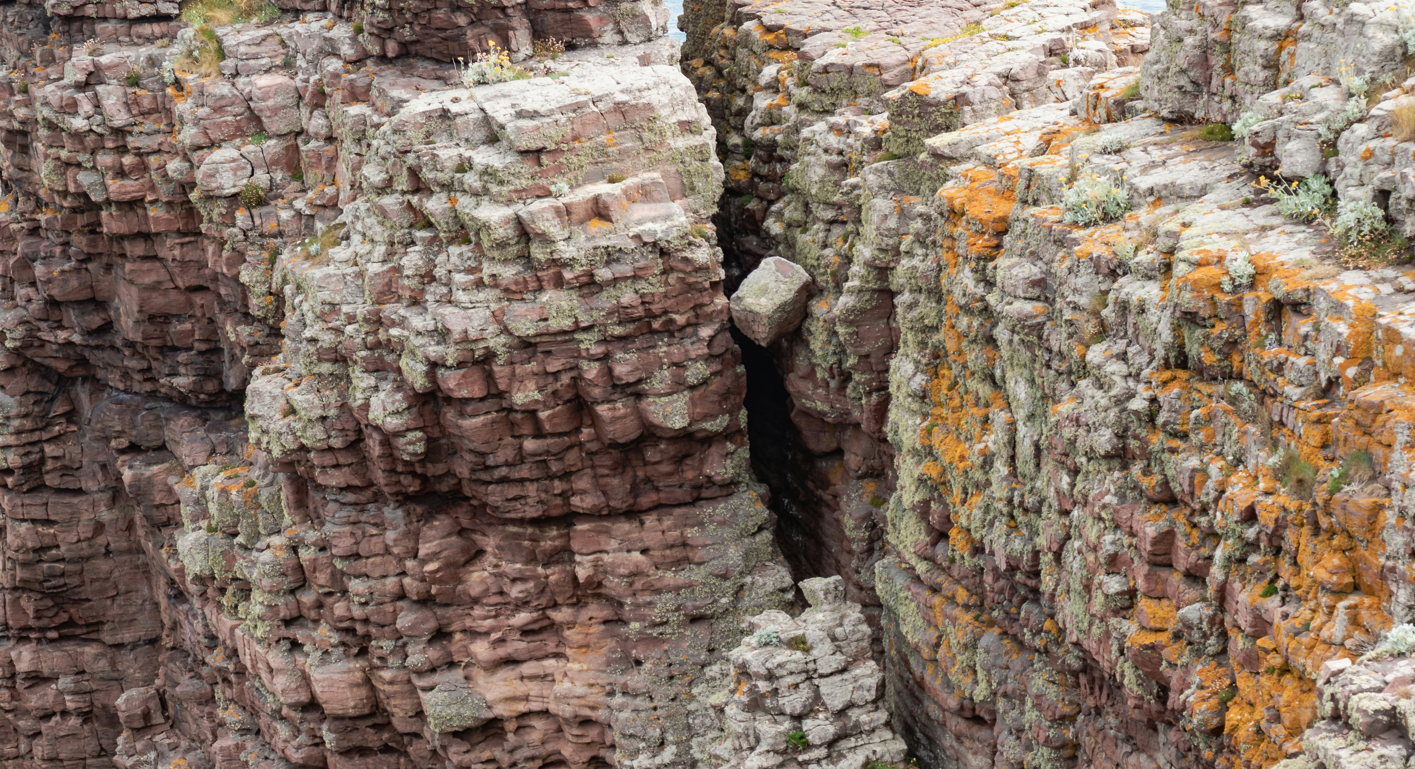 Rugged rock formations with vibrant lichen detail create a striking contrast in a natural chasm. The textures and colors illustrate the beauty of geological processes.