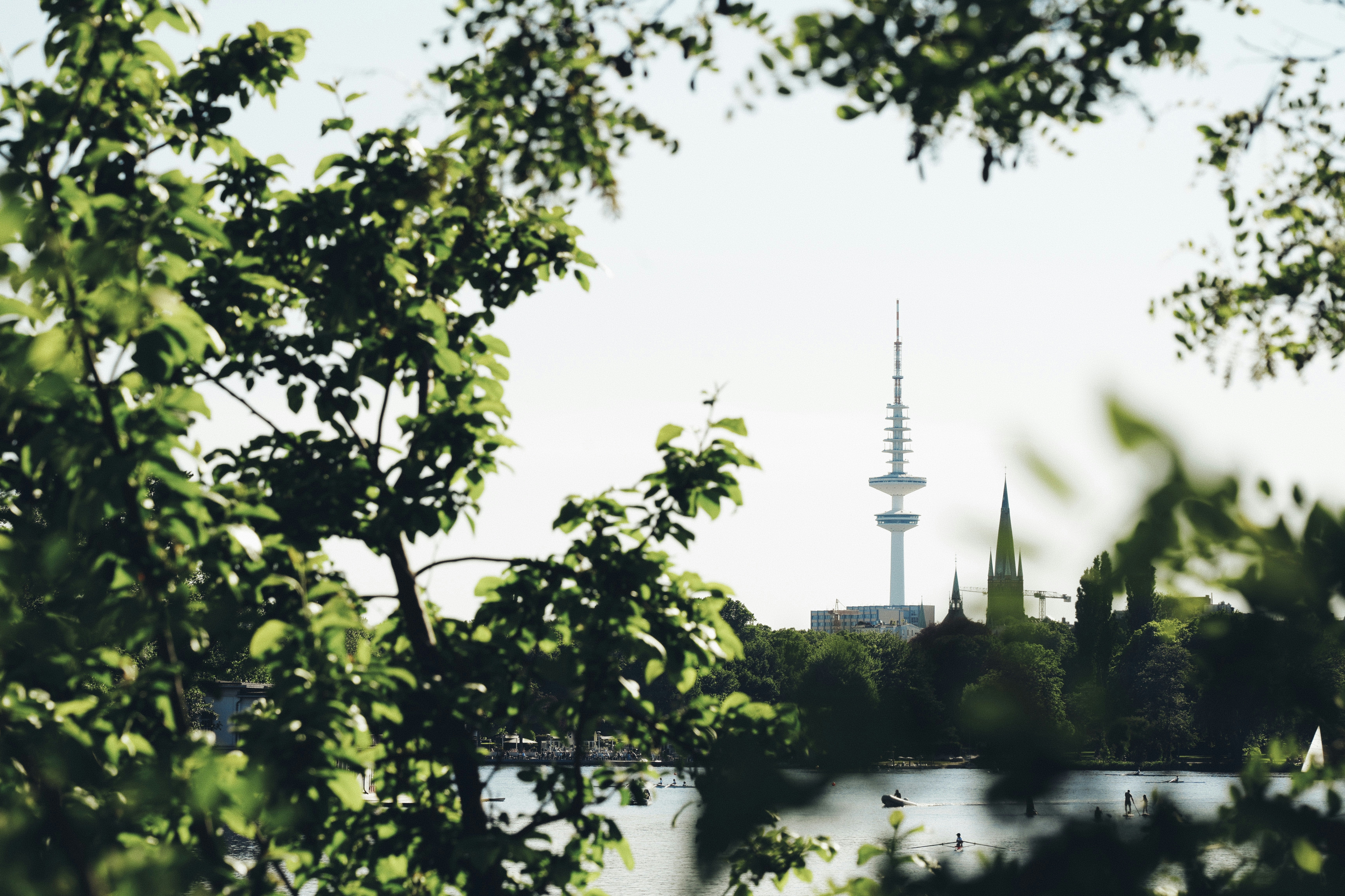 A scenic view of Hamburg, Germany, framed by lush green foliage. In the background, the iconic Heinrich-Hertz-Turm (TV tower) rises prominently against the clear sky, with the spires of historic churches visible nearby. The peaceful Alster lake in the foreground is dotted with people enjoying paddleboarding and boating, capturing the essence of a vibrant summer day in the city. | Trees frame a cityscape with a tall tower.