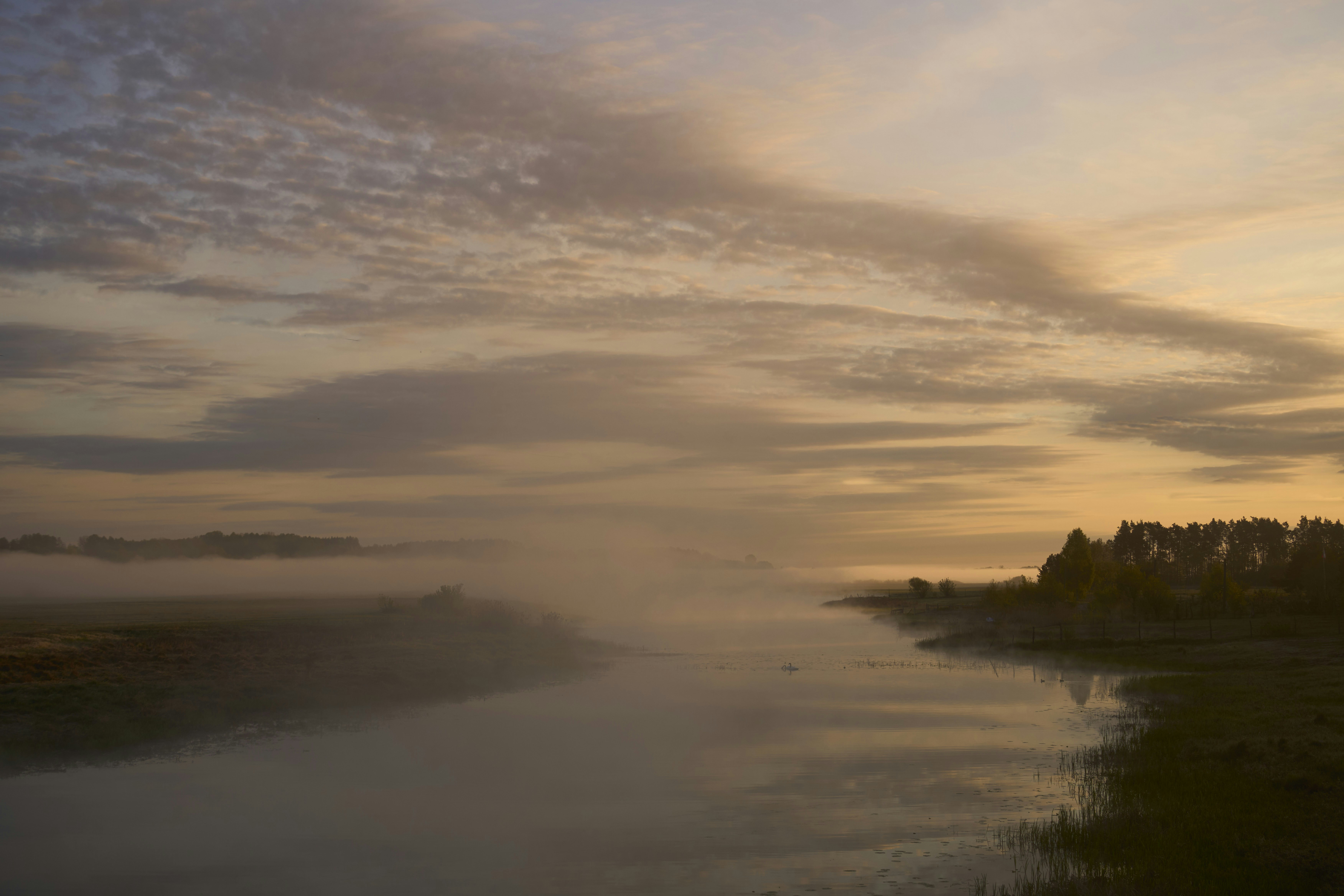 Misty river at dawn with trees on the banks.