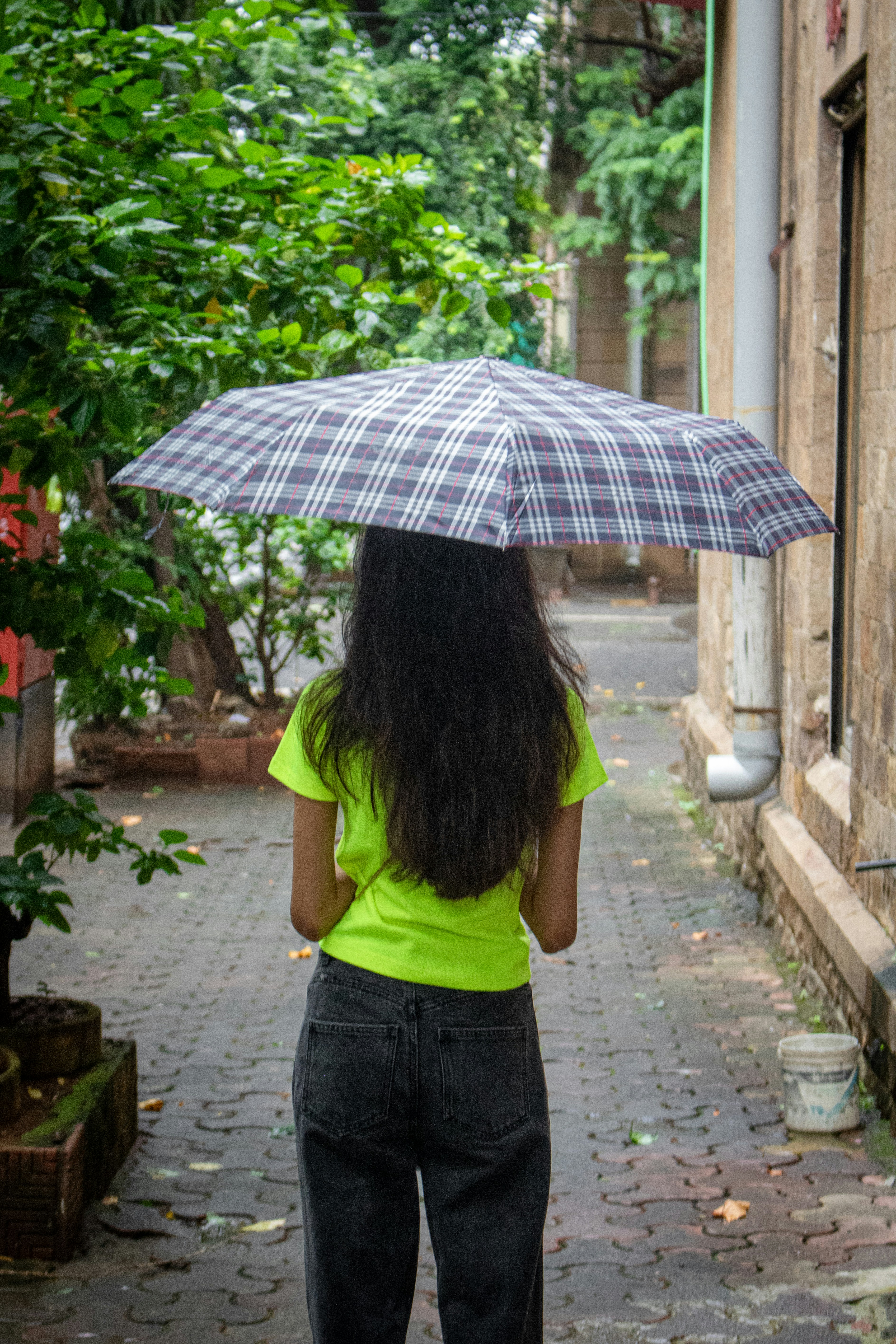 Neon Lime Under Rain: A Backside Portrait under a Plaid Umbrella