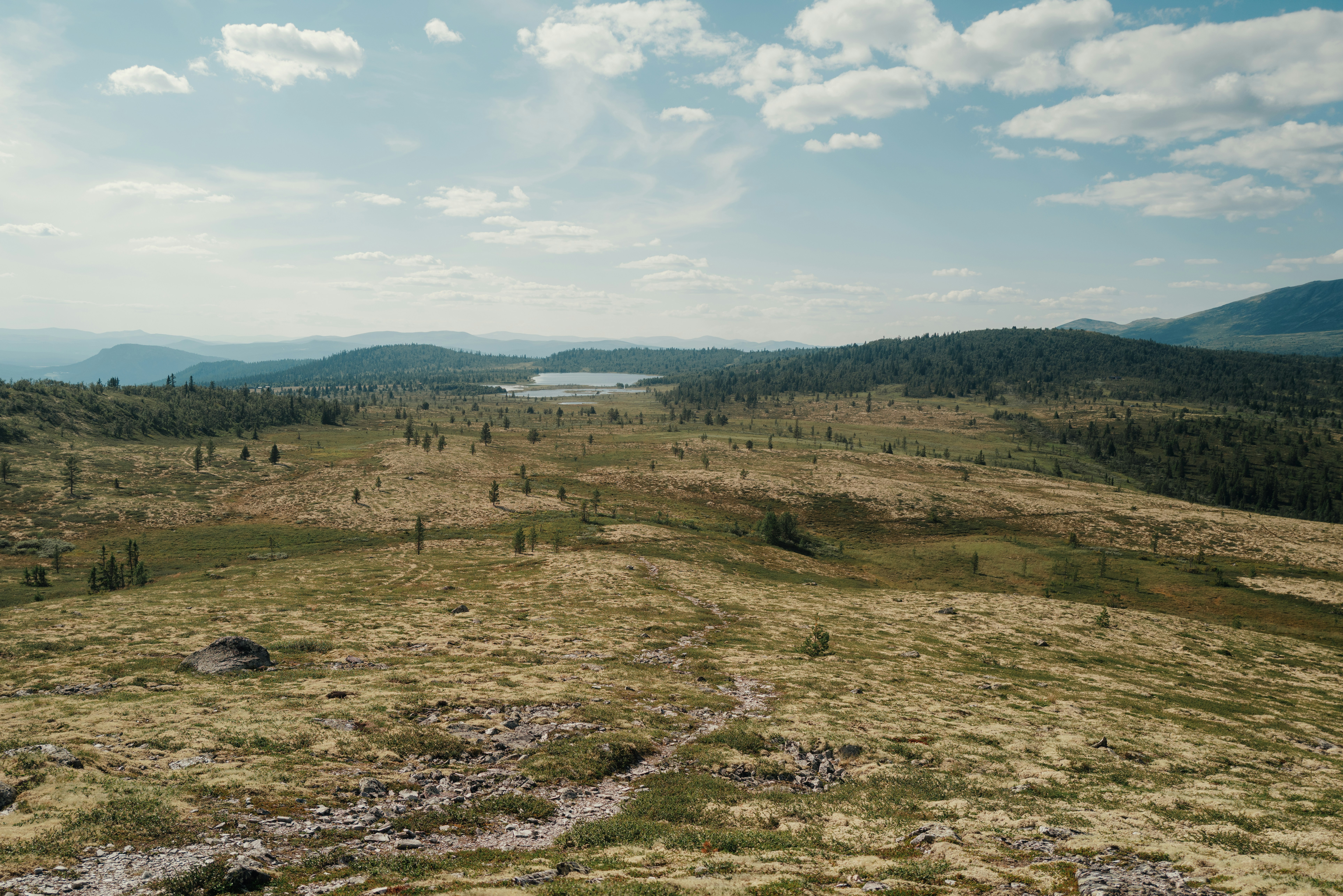 Expansive Serenity: A Landscape of Tranquil Horizons