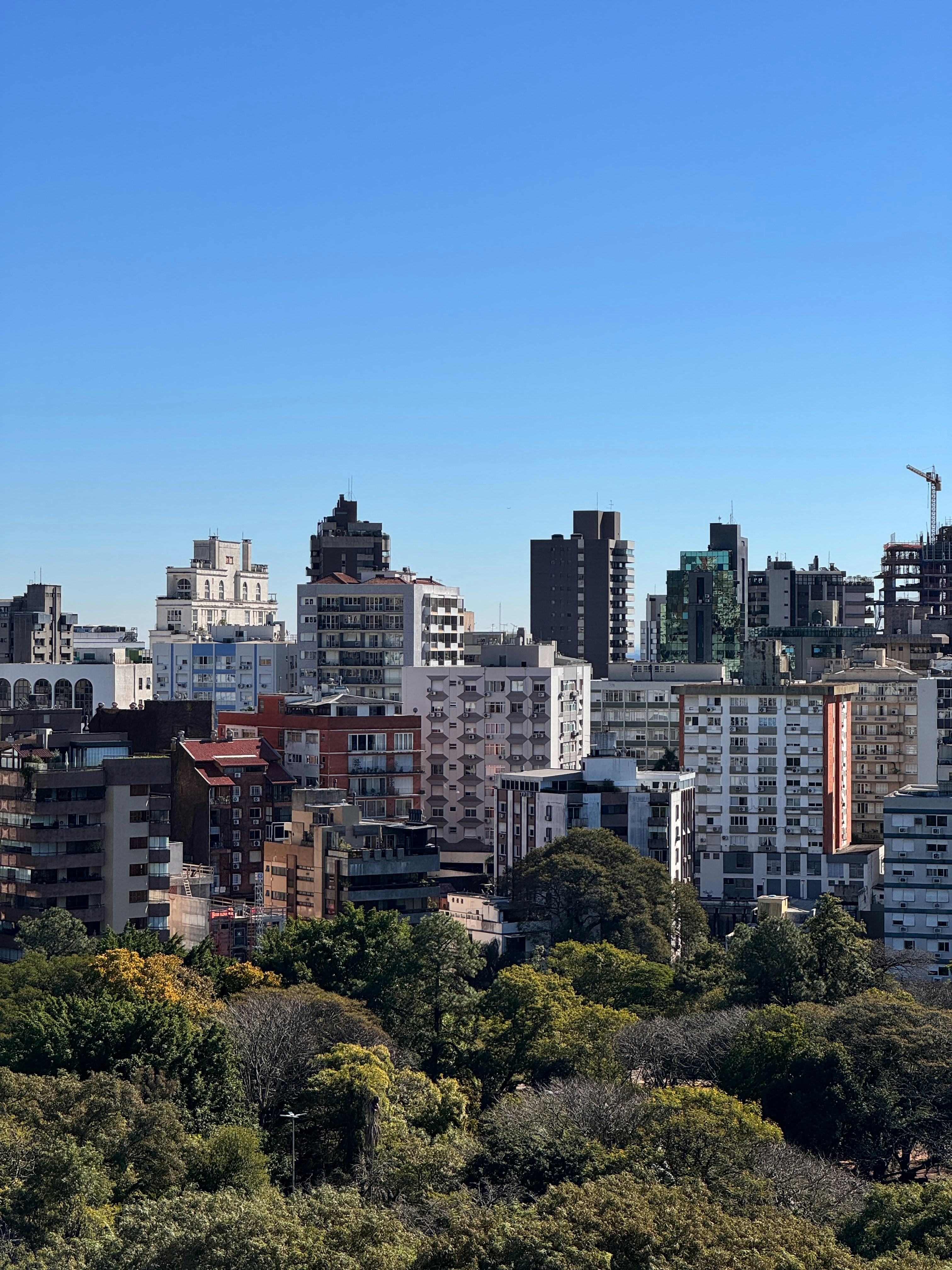#shotoniphone | Buildings rise above the treetops in the city.
