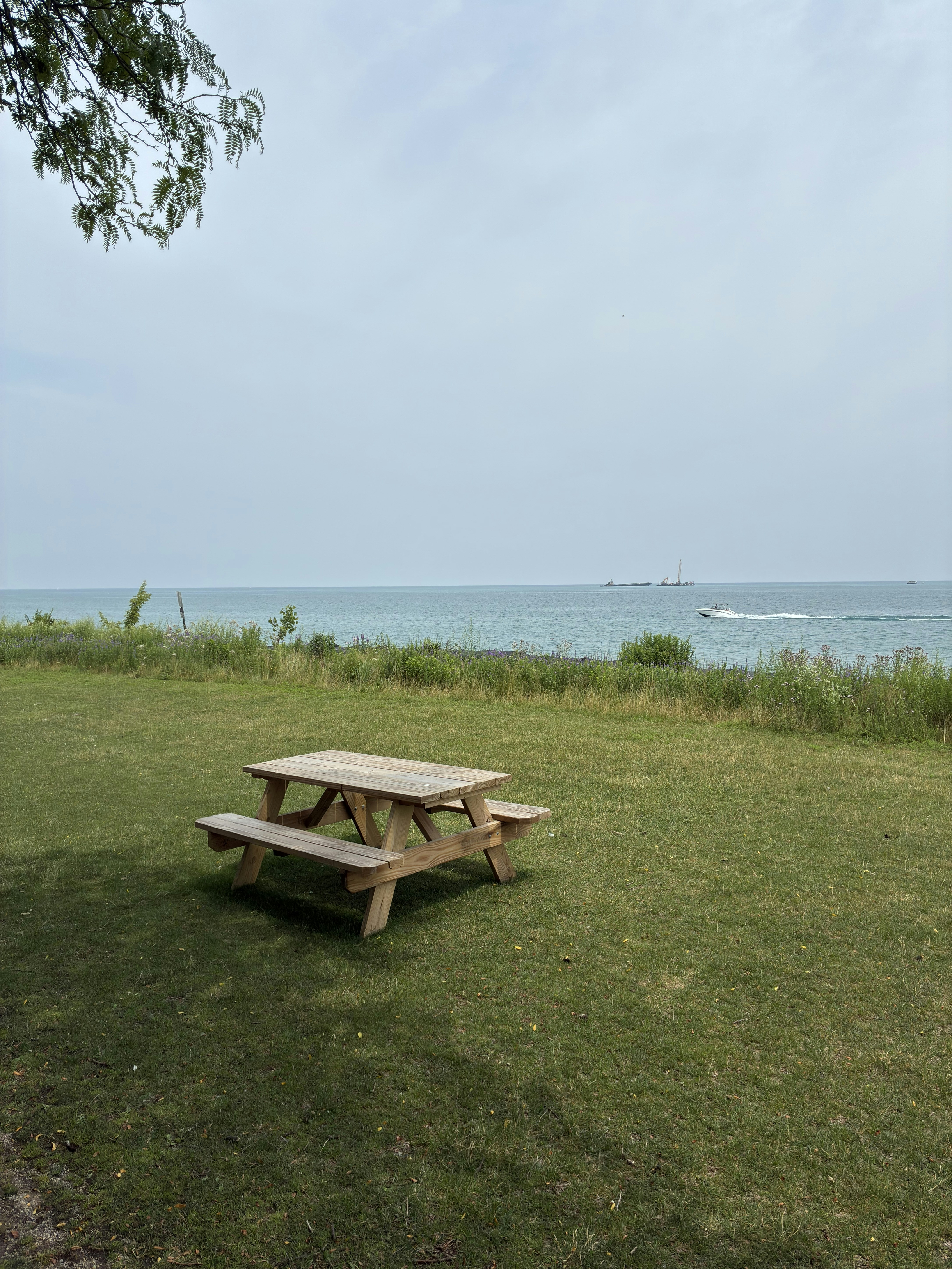 Sample photo from Apple iPhone 16e