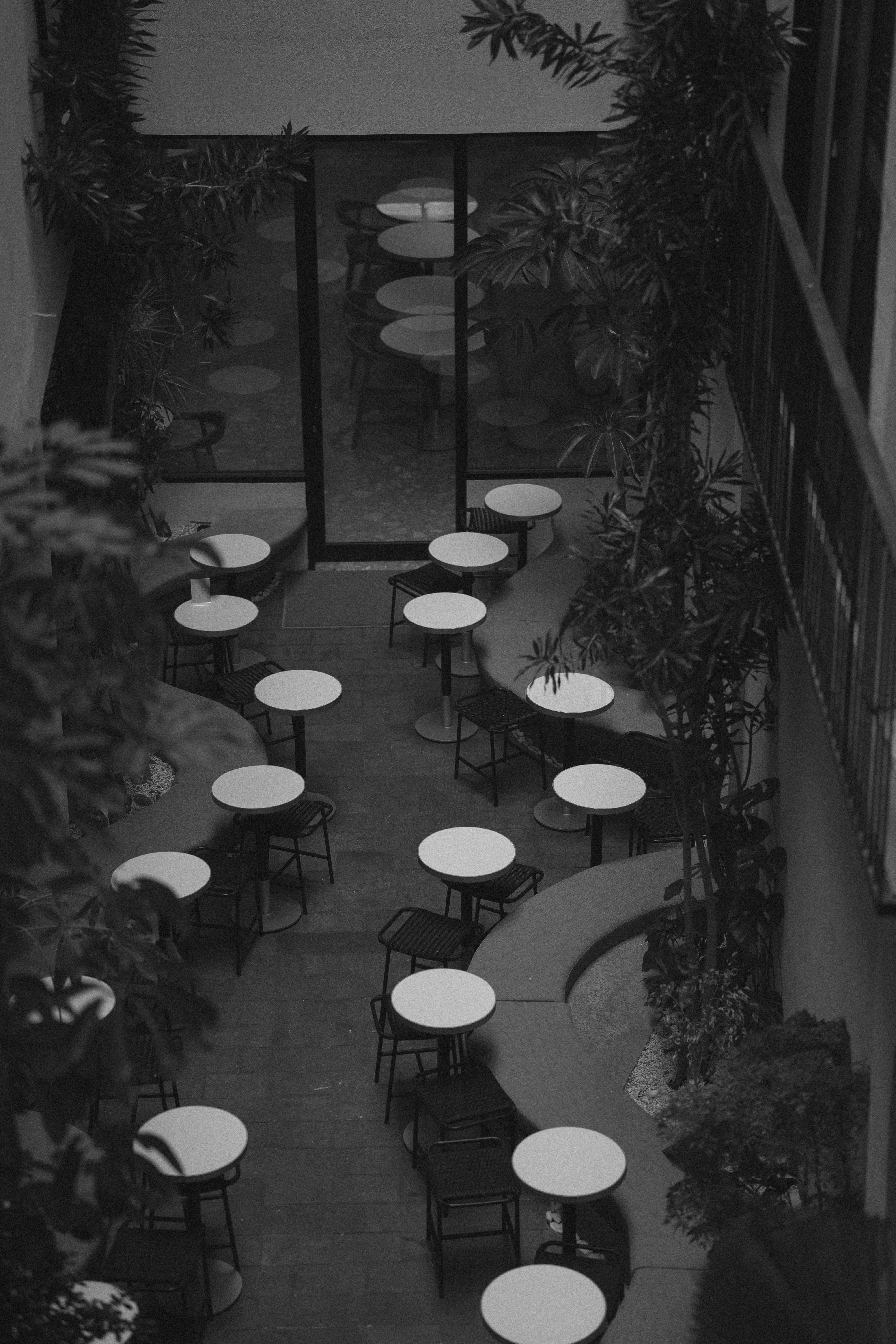 Serenity in Shadows: A Quiet Retreat