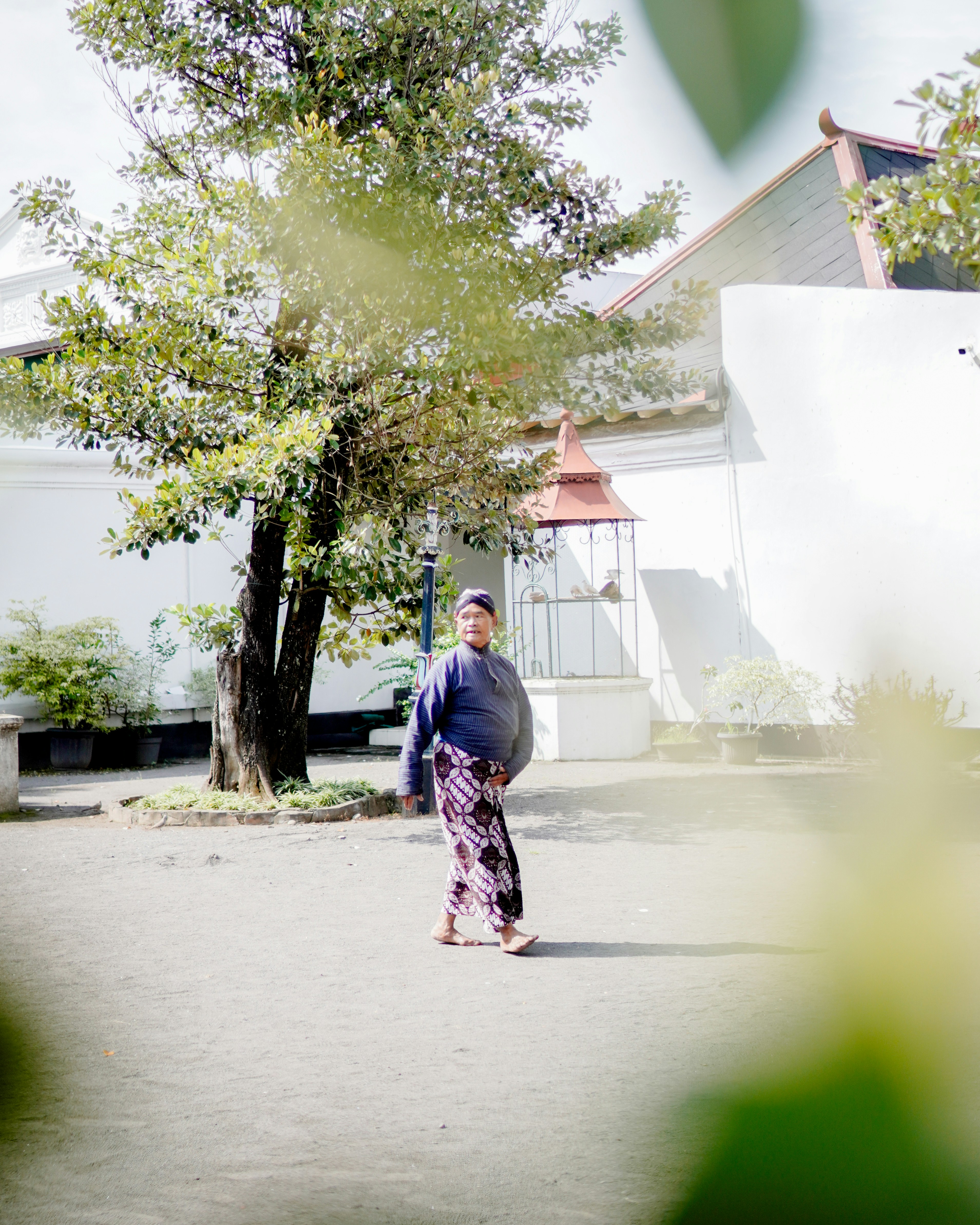 A Stroll Through Cultural Heritage
