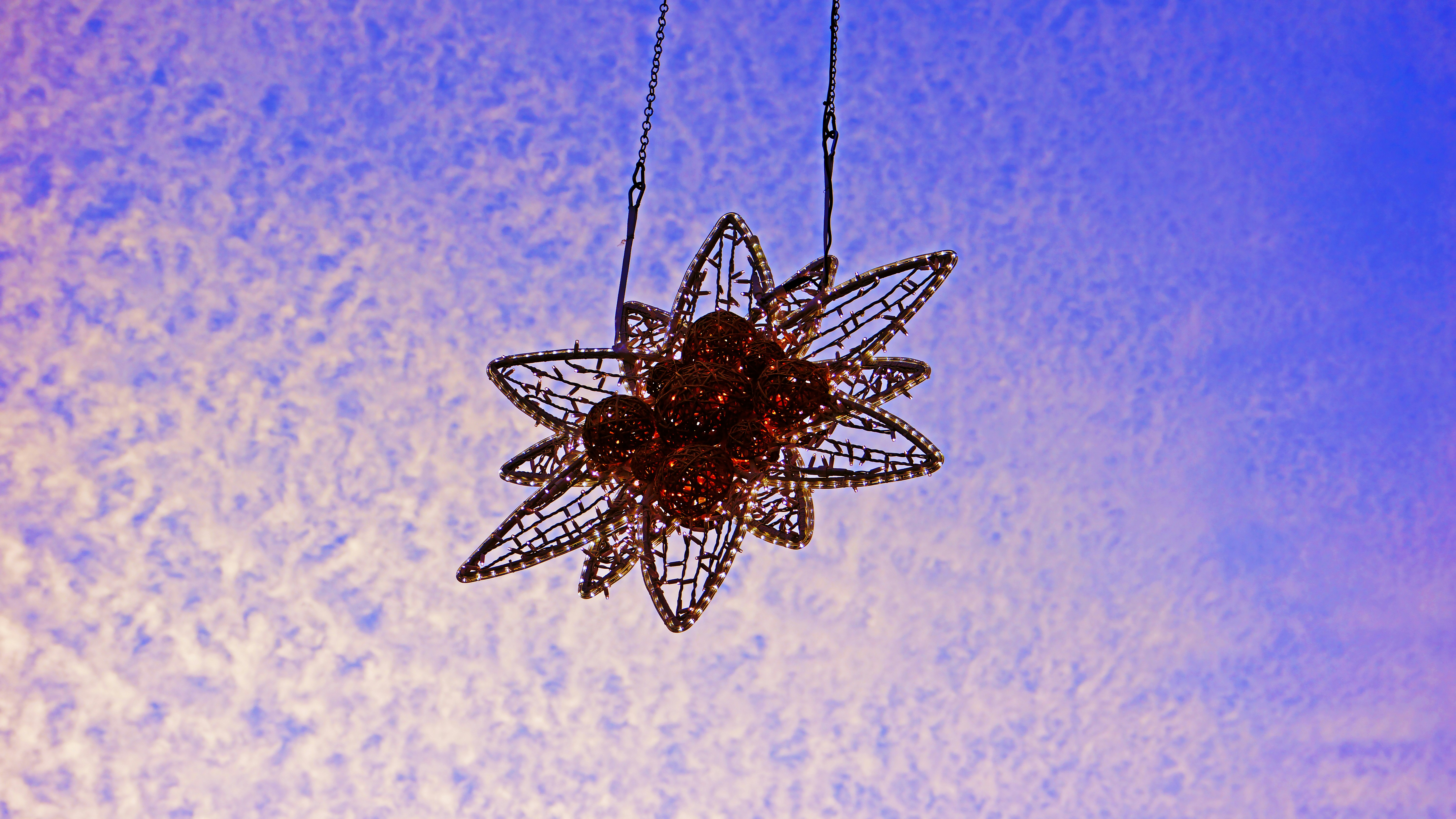 Lace-Star Ornament Adrift in a Cobalt Sky