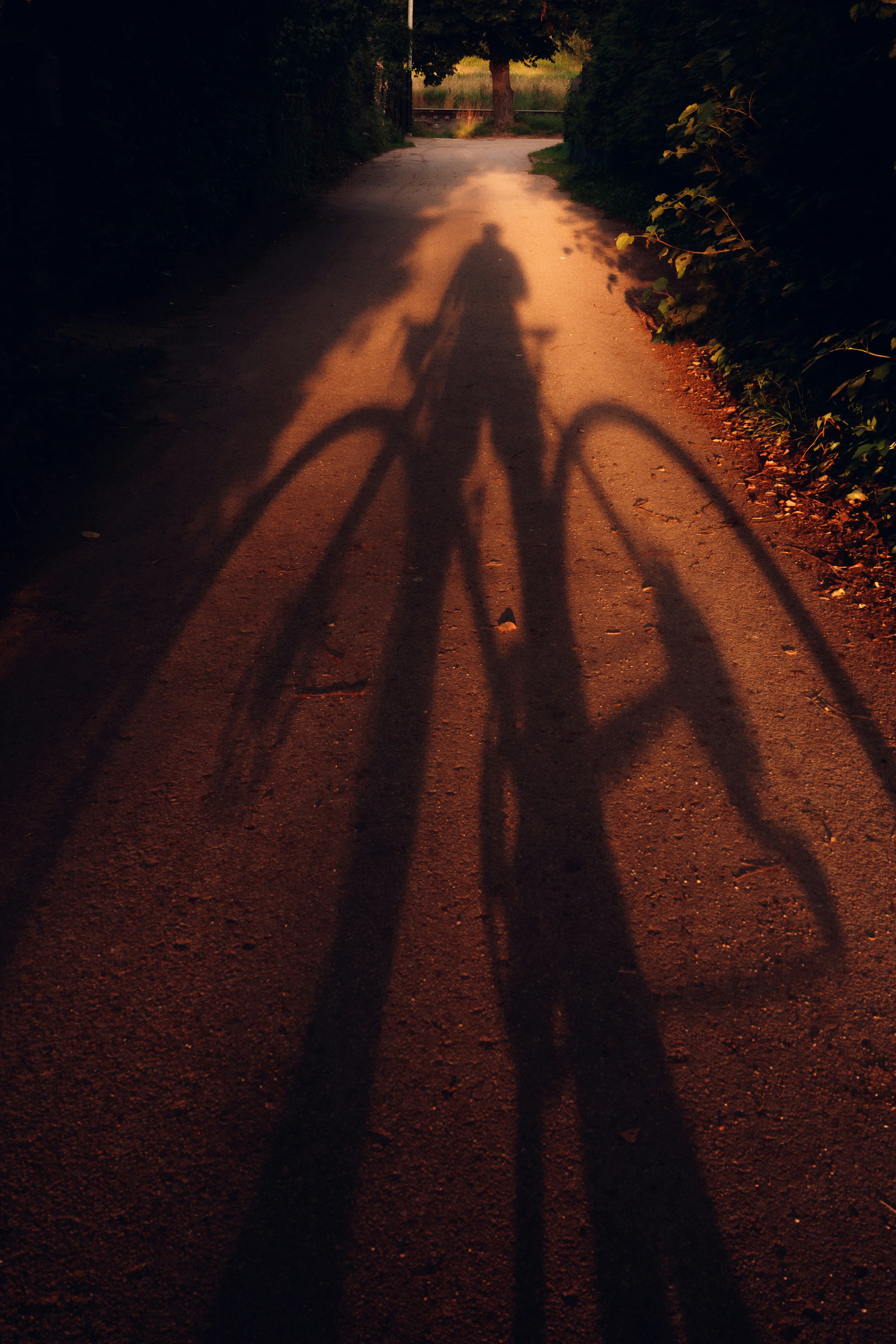 A cyclist's shadow rides down a road.
